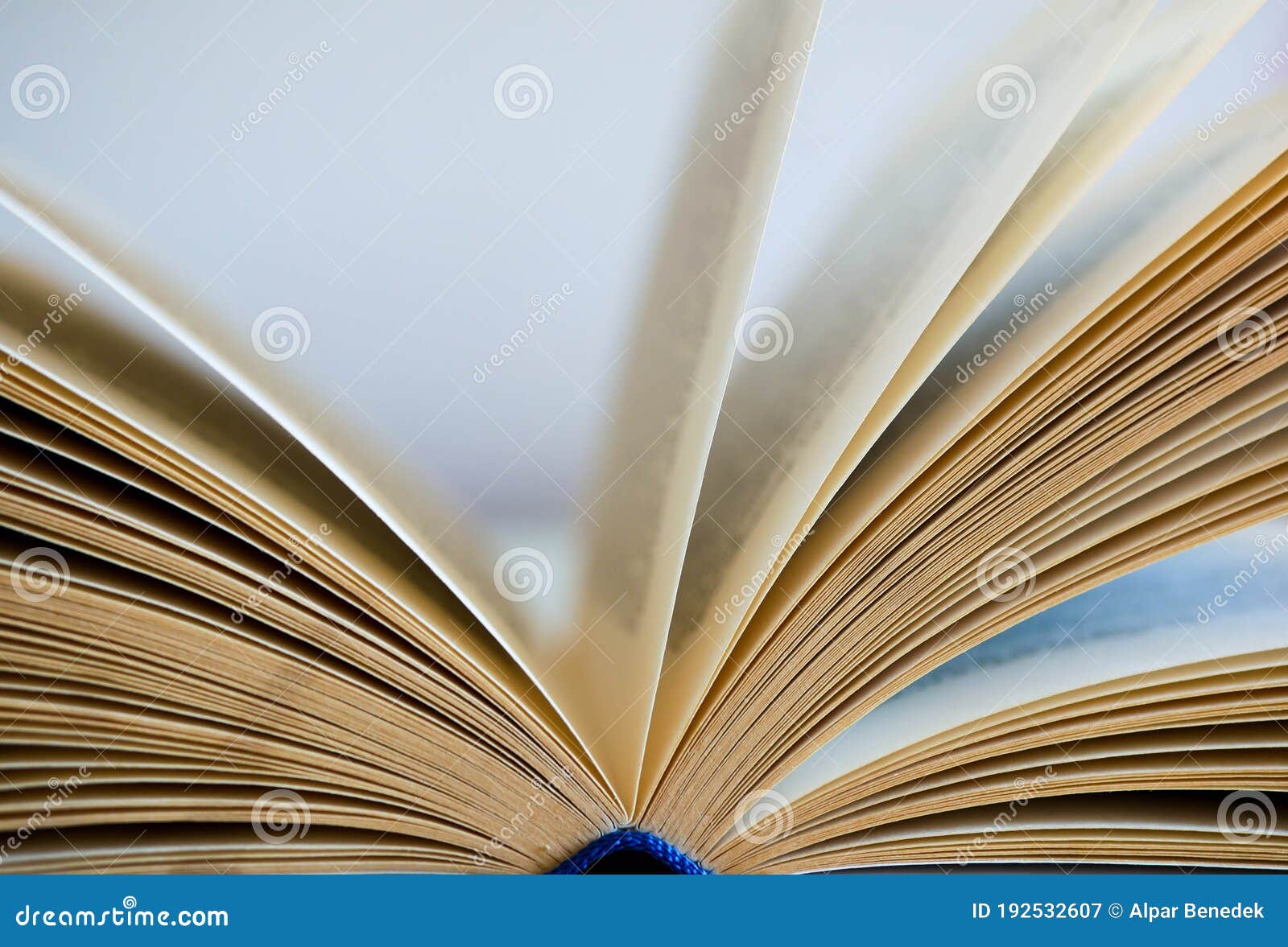 Opened Yellow Book Pages Close Up Shot on White Stock Image - Image of ...