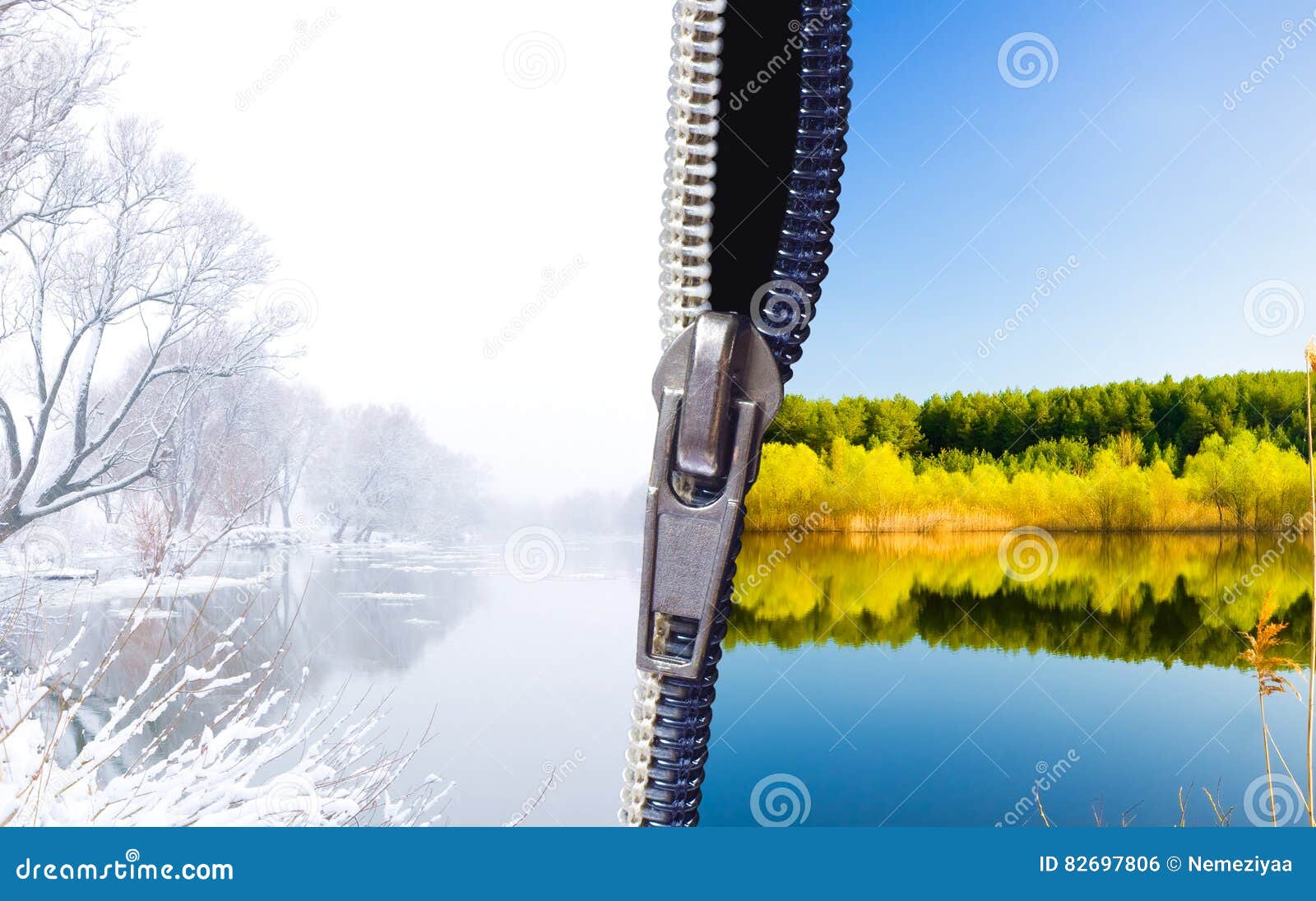 Opened zipper revealing stock photo. Image of unzipped - 82697806