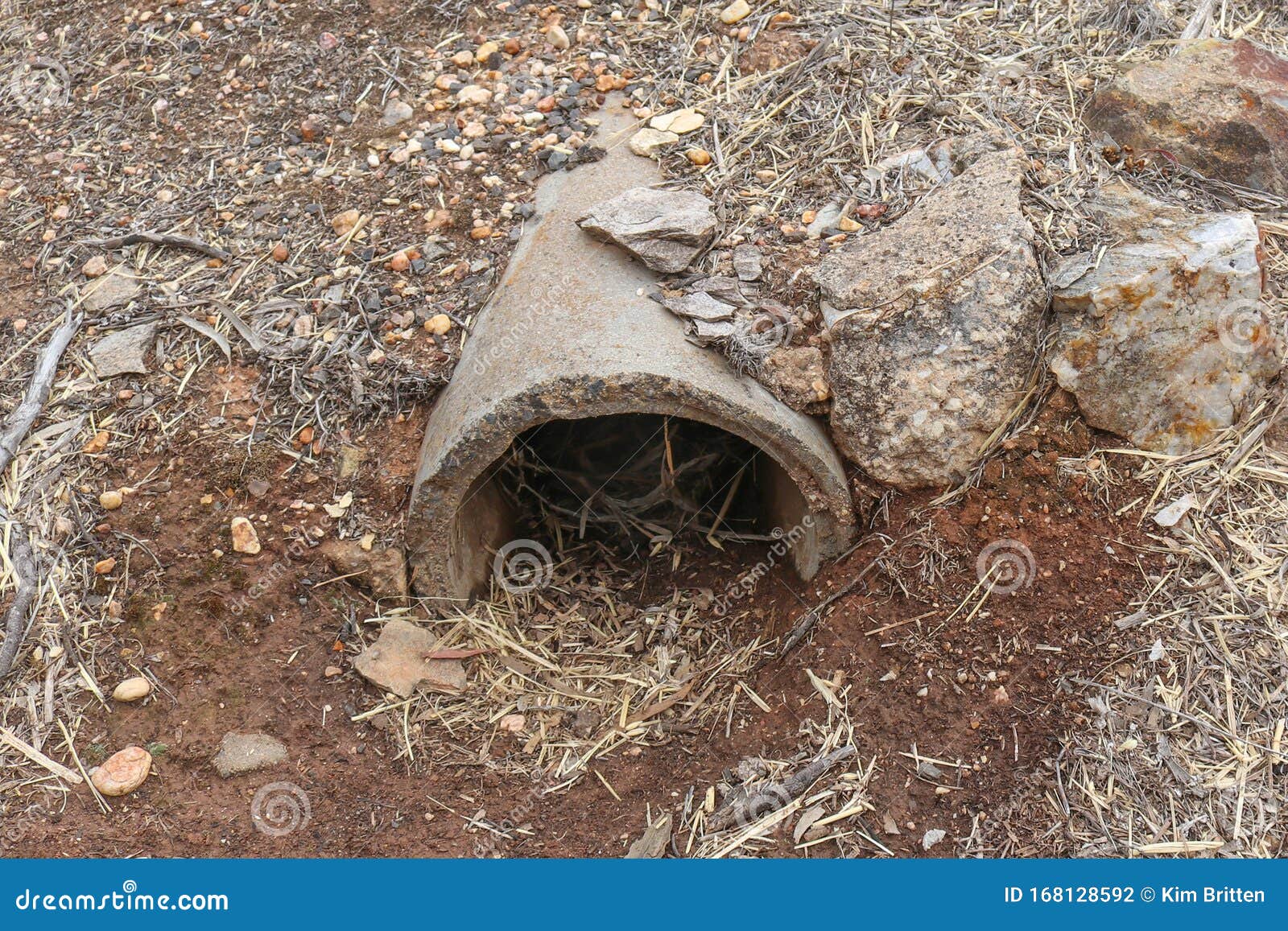 Opening of a Concrete Drain Pipe Stock Photo - Image of blocked ...