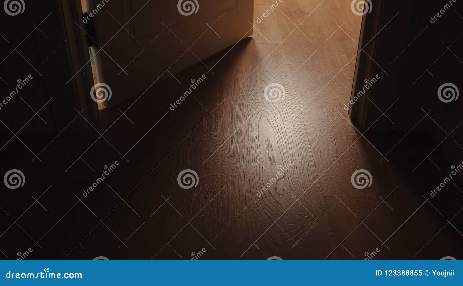 Opening Door at Home in the Night Stock Image - Image of interior ...