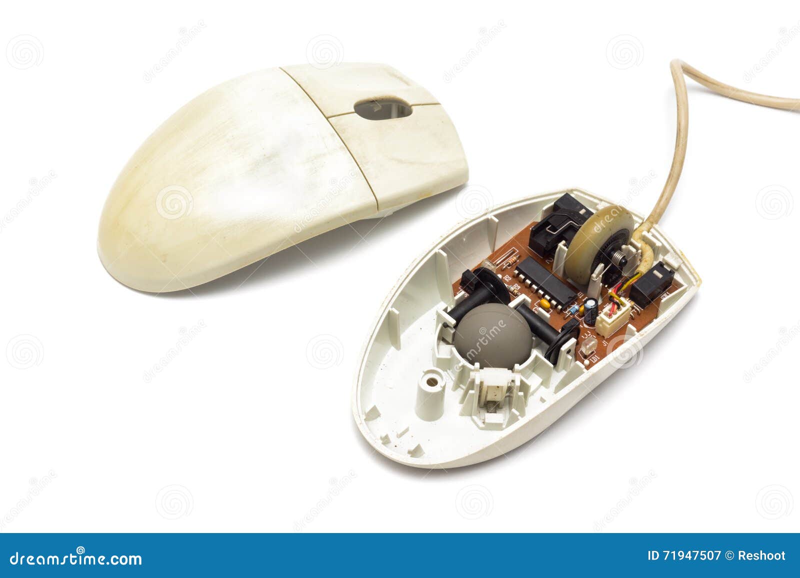 Opening mouse stock image. Image of fashioned, internet - 71947507