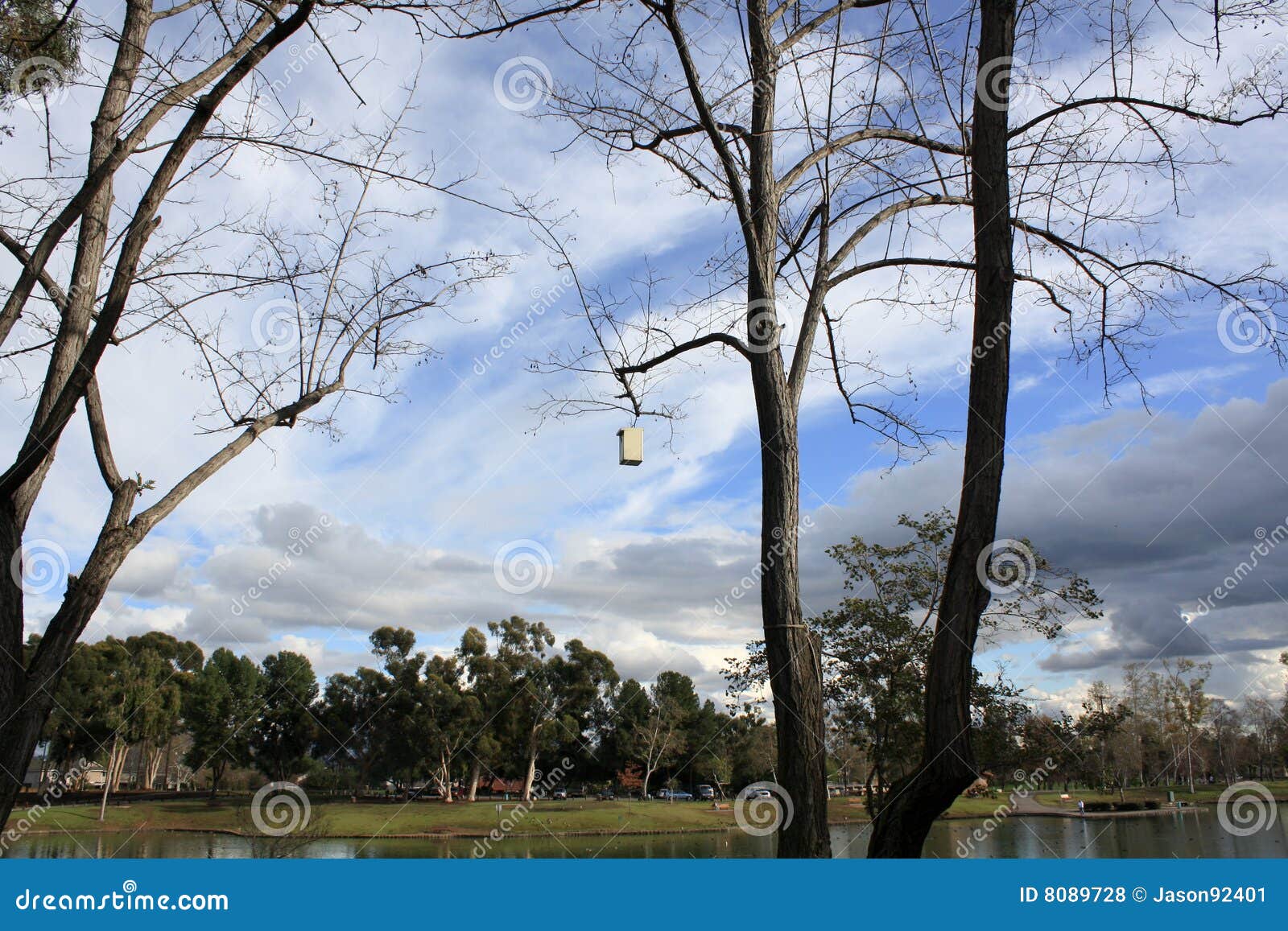 Opening skys stock photo. Image of clouds, opening, storm - 8089728