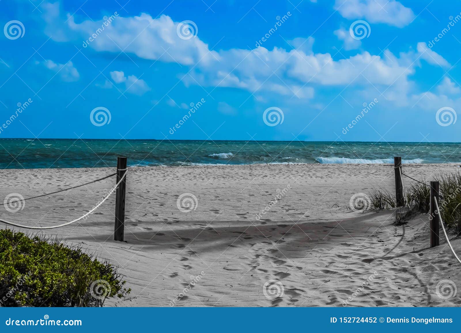 Opening To the Beach in Key Biscayne Florida Stock Photo - Image of ...