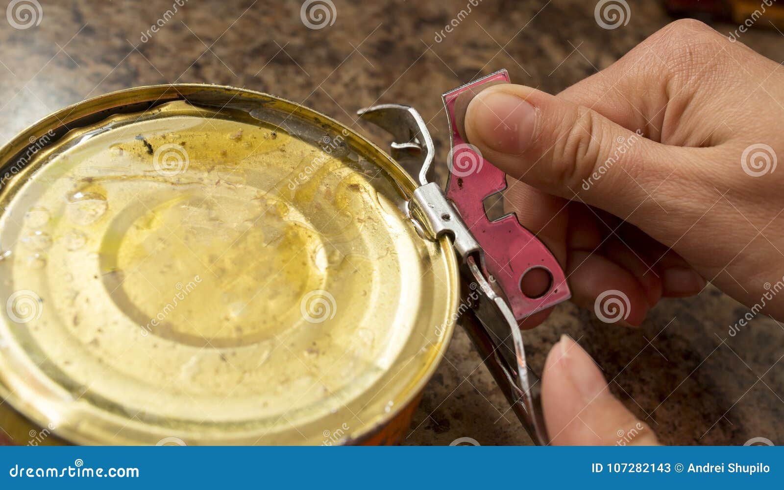 Opens Canned Fish with a Can Opener Stock Image - Image of dinner ...