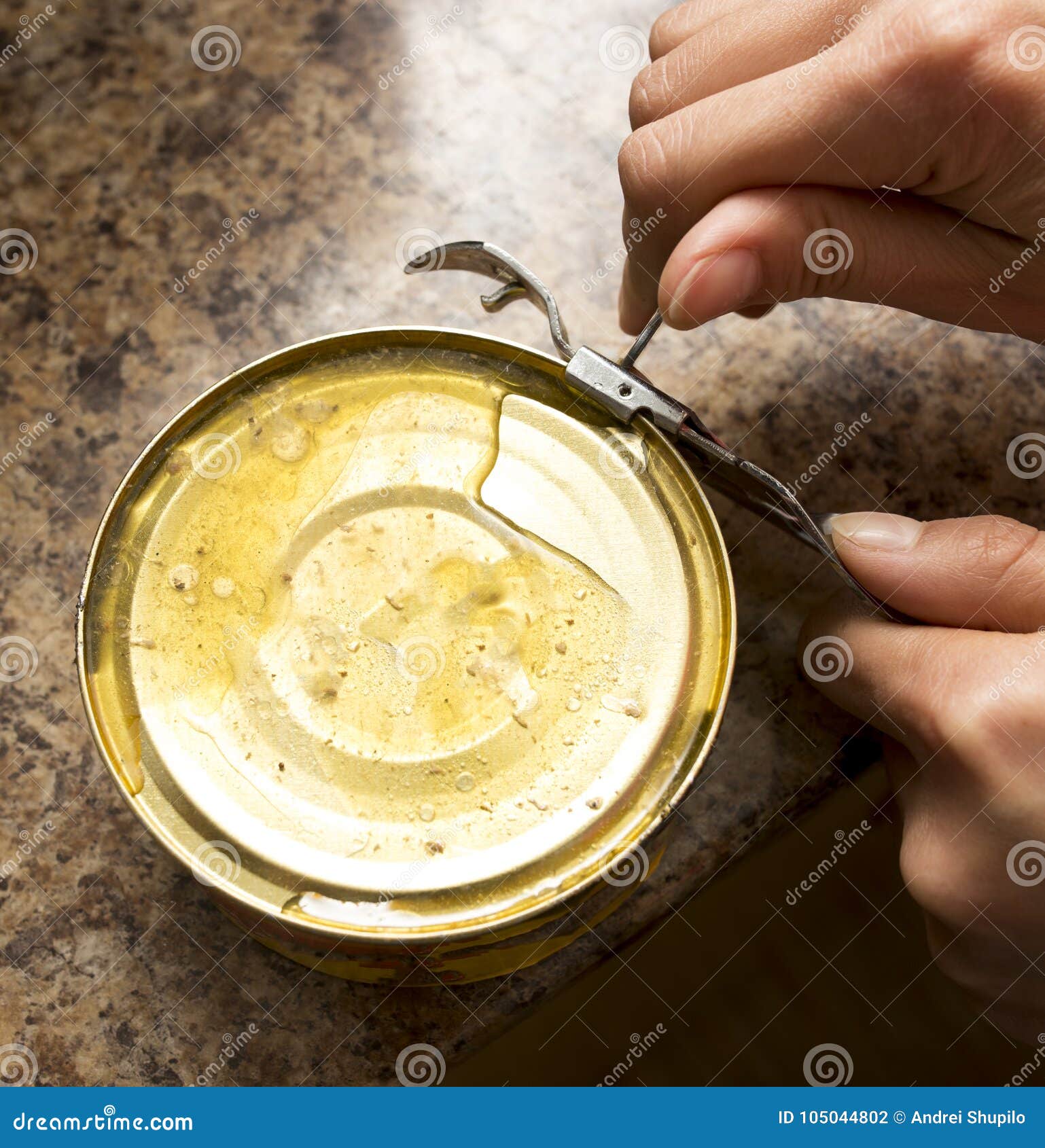 Opens Canned Fish with a Can Opener Stock Photo - Image of grocery ...