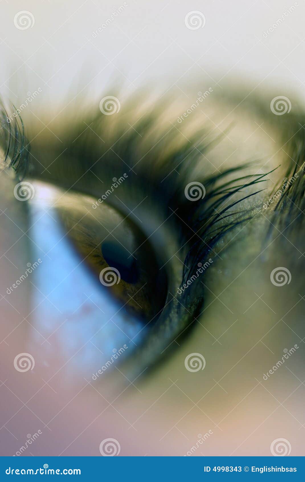 Opens Eye Picture. Image: 4998343