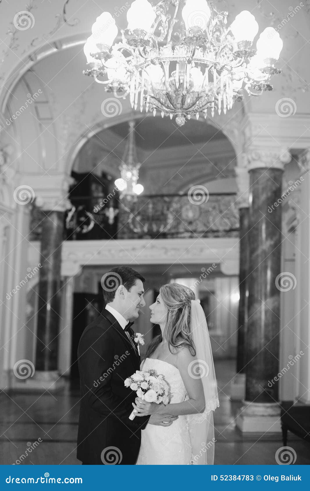 The Opera bride stock image. Image of groom, happy, glamour - 52384783