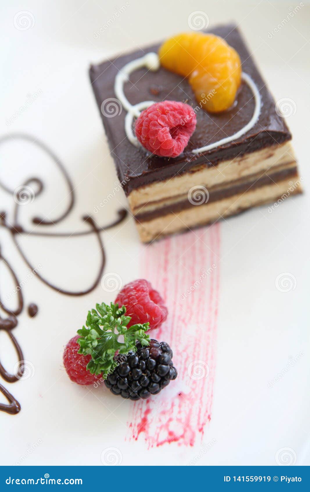 Opera fancy cake stock image. Image of eating, dessert - 141559919