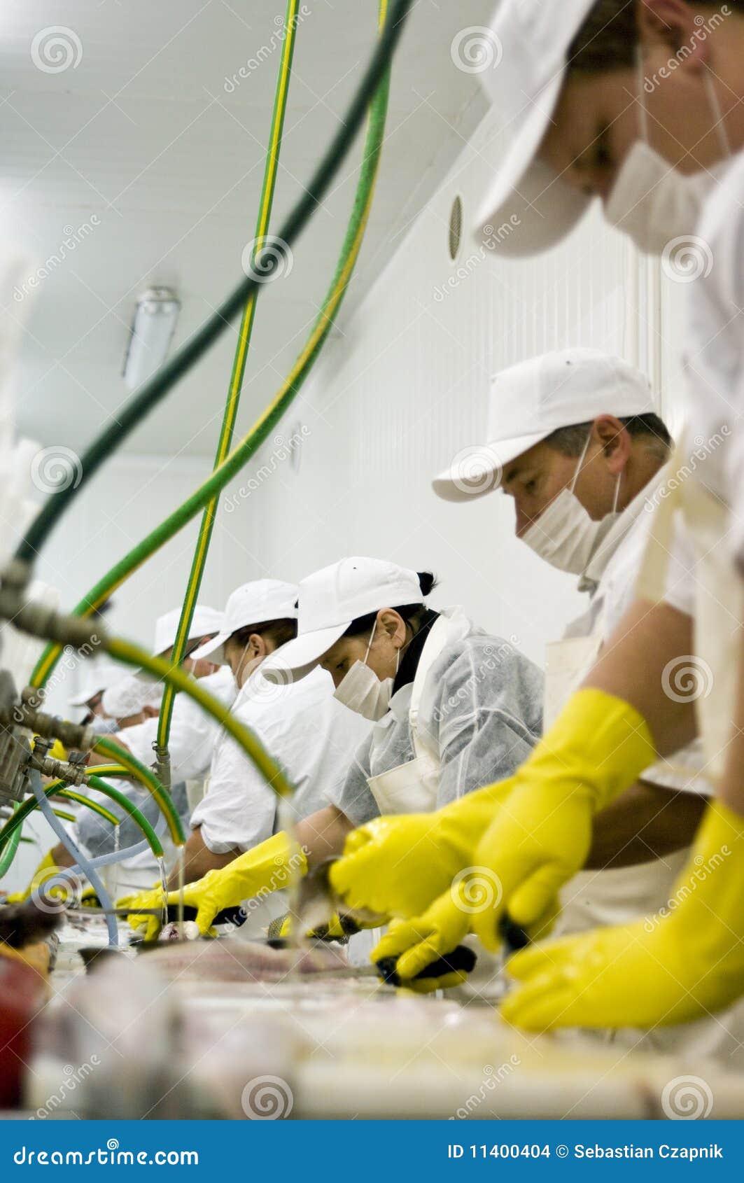 Operai in una pianta fotografia stock. Immagine di pulizia - 11400404