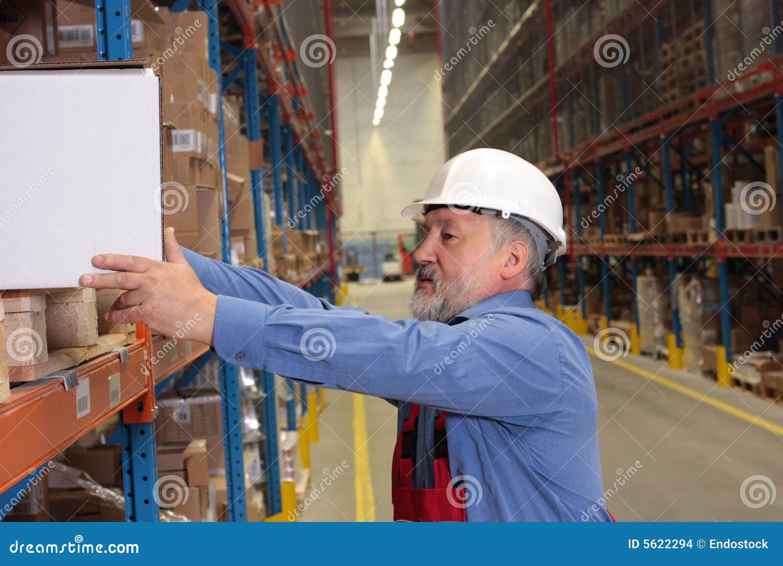 Operaio Con Esperienza Con La Casella in Magazzino Fotografia Stock ...