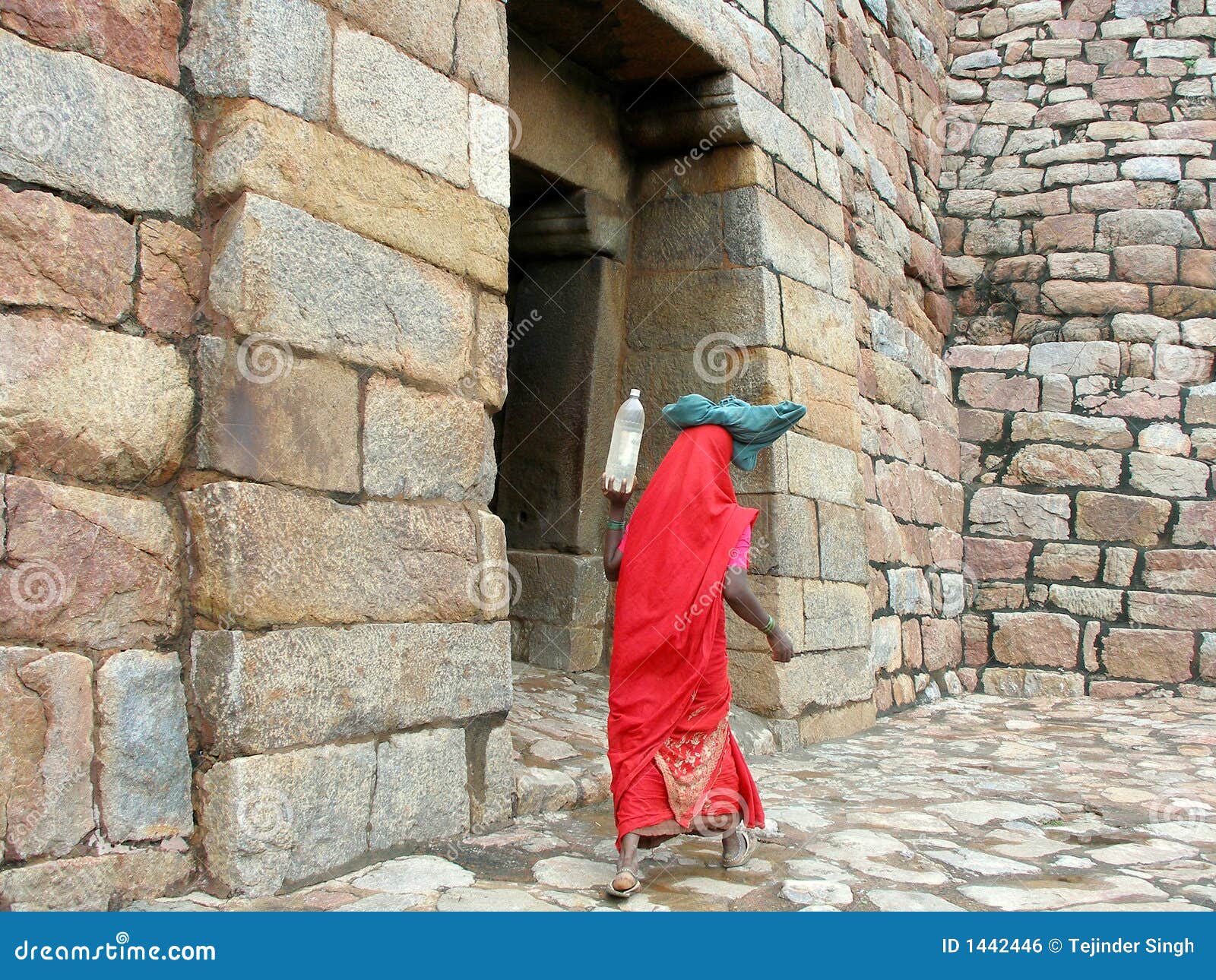 Operaio indiano agricolo fotografia stock. Immagine di righello - 1442446