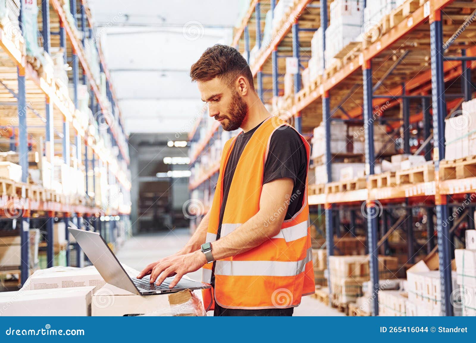 Operating the Laptop. Storage Worker is in the Warehouse with Bunch of ...