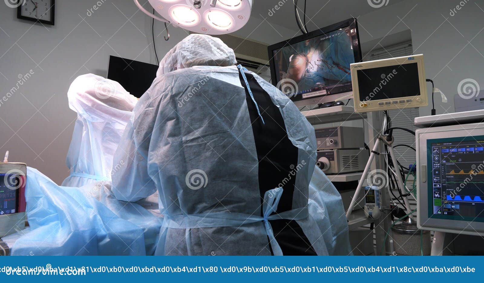 In the Operating Room, a Team of Professional Veterinarians Performs an ...