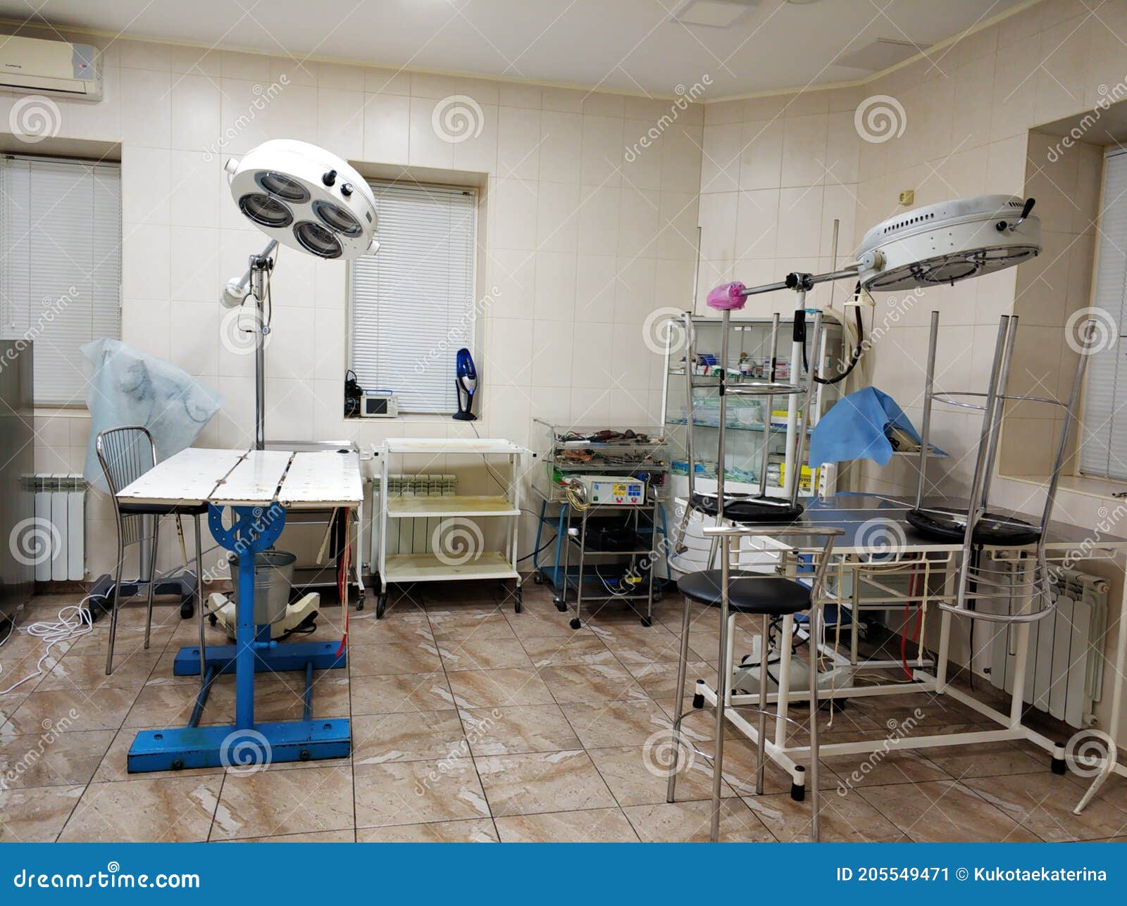 Operating Room in a Veterinary Clinic. Operating Table for Animals ...