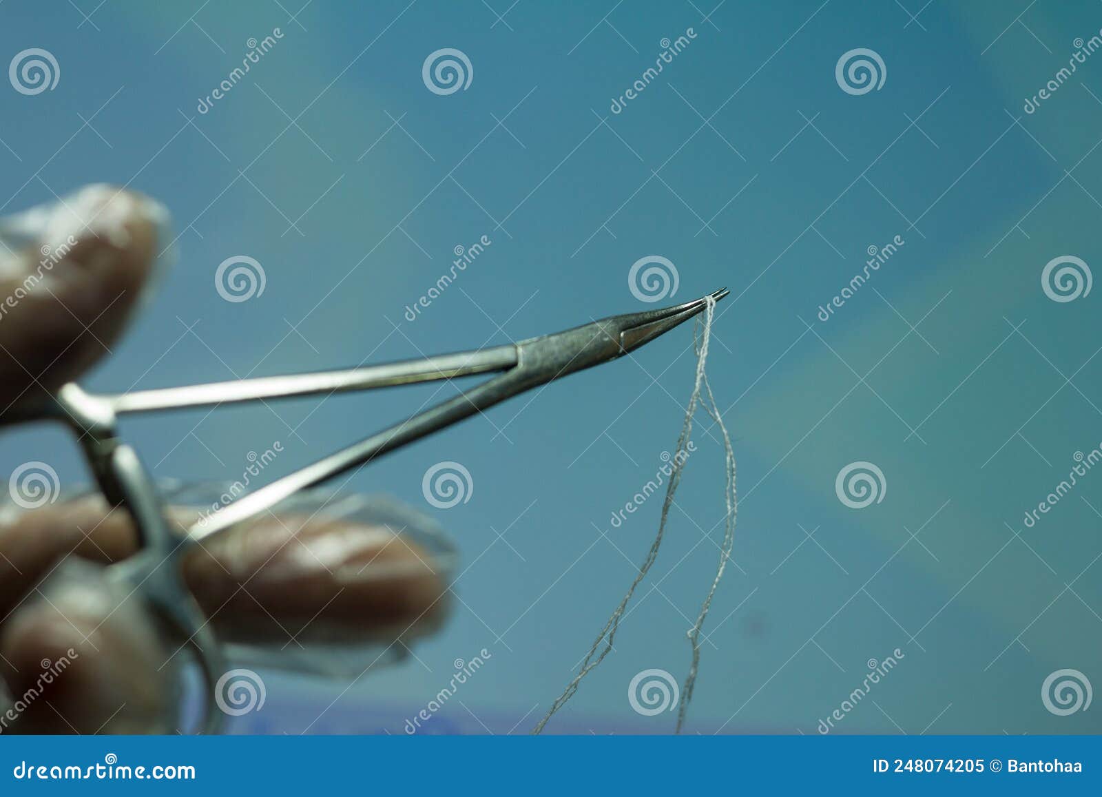 The Operating Surgeon Holds a Surgical Instrument in His Hands Stock ...