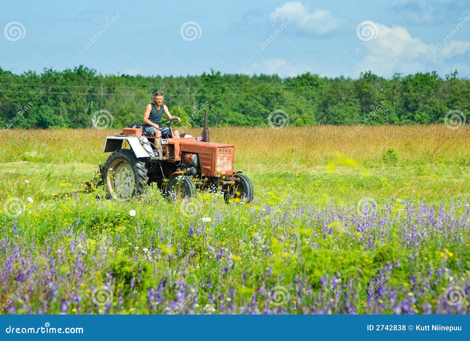 Operating Tractor in the Field Stock Photo - Image of meadow, grassy ...