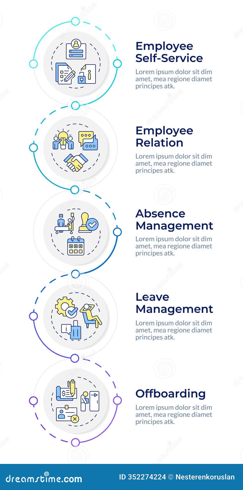 Operational HR Infographic Vertical Sequence Stock Vector ...