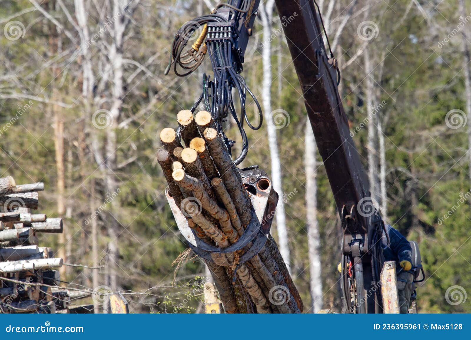 Operations for Loading a Logging Truck Imagen de archivo - Imagen de ...