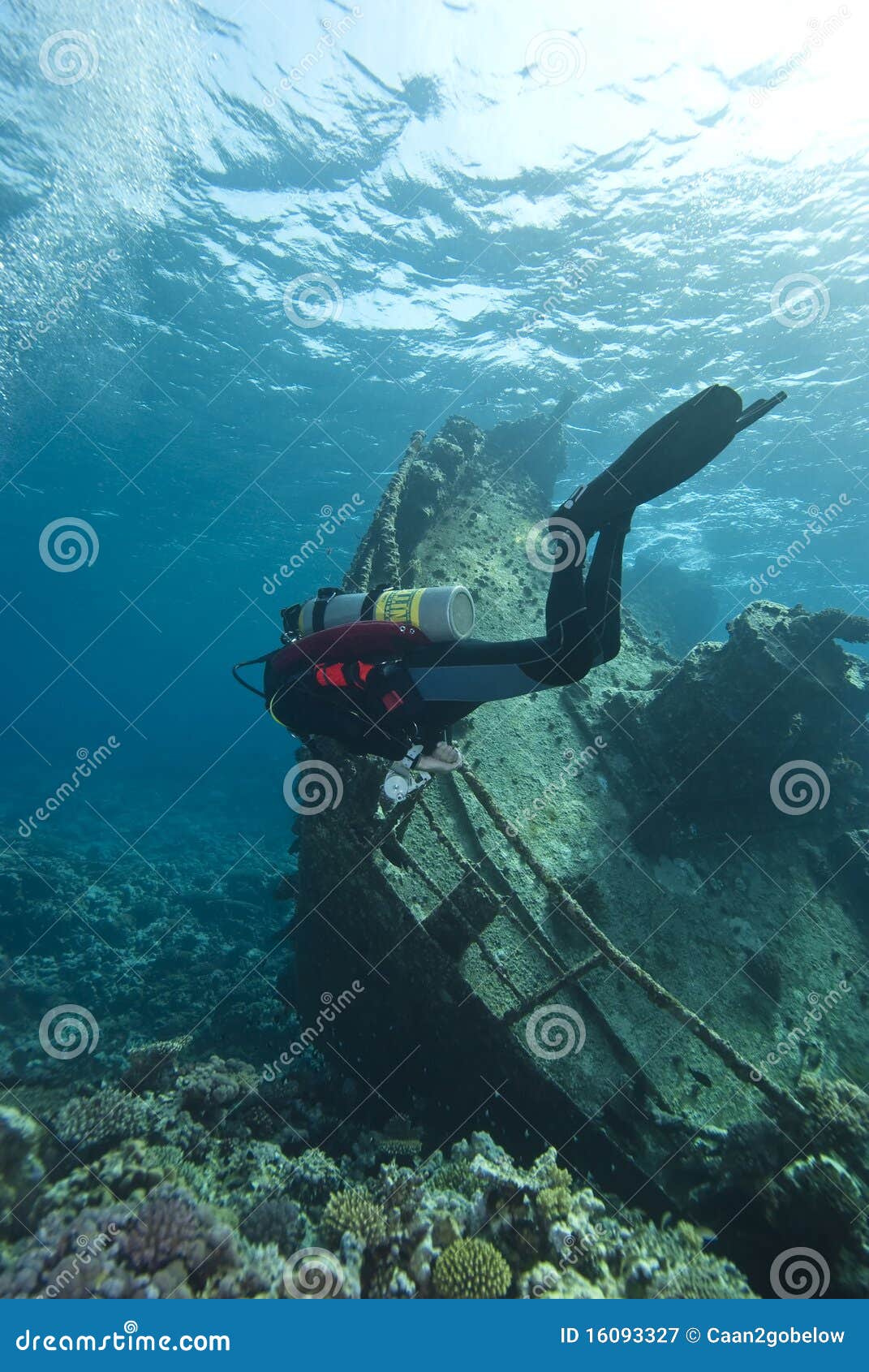 Operatore Subacqueo Che Esplora Naufragio Subacqueo. Immagine Stock ...