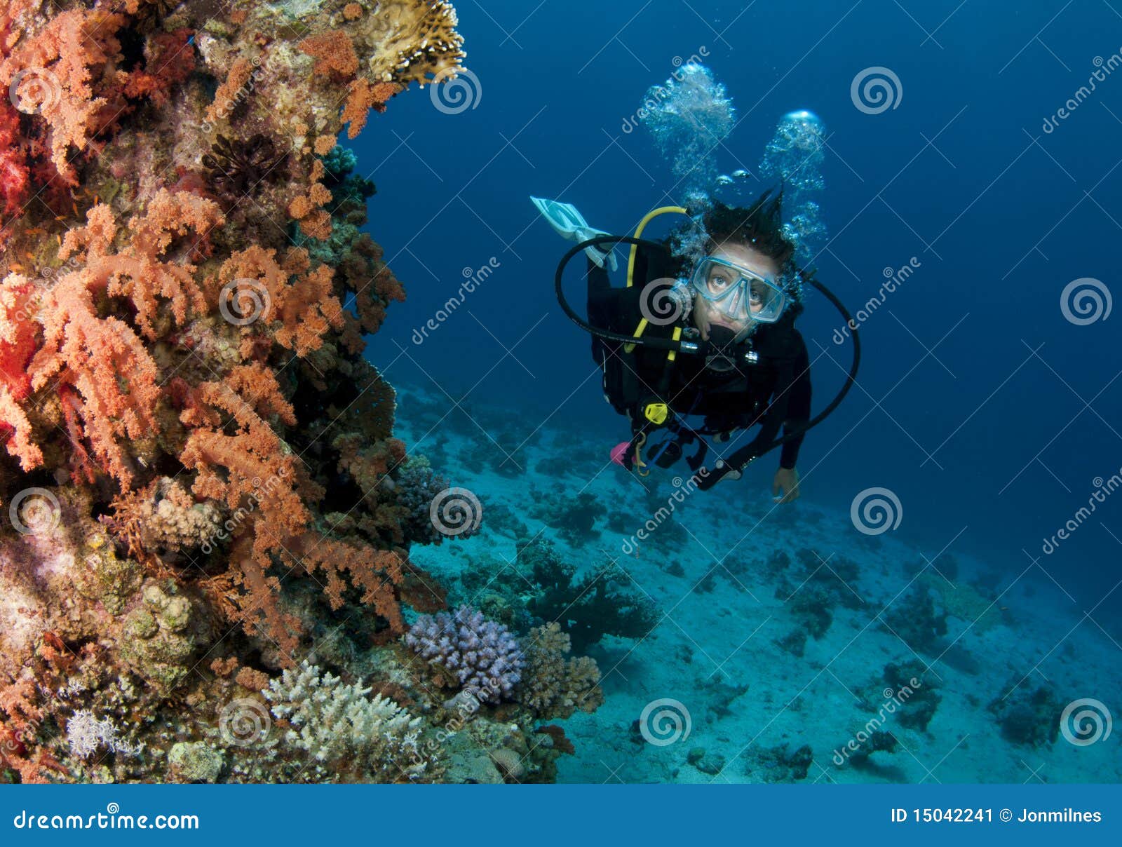 Operatore Subacqueo Di Scuba Immagine Stock - Immagine di barriera ...