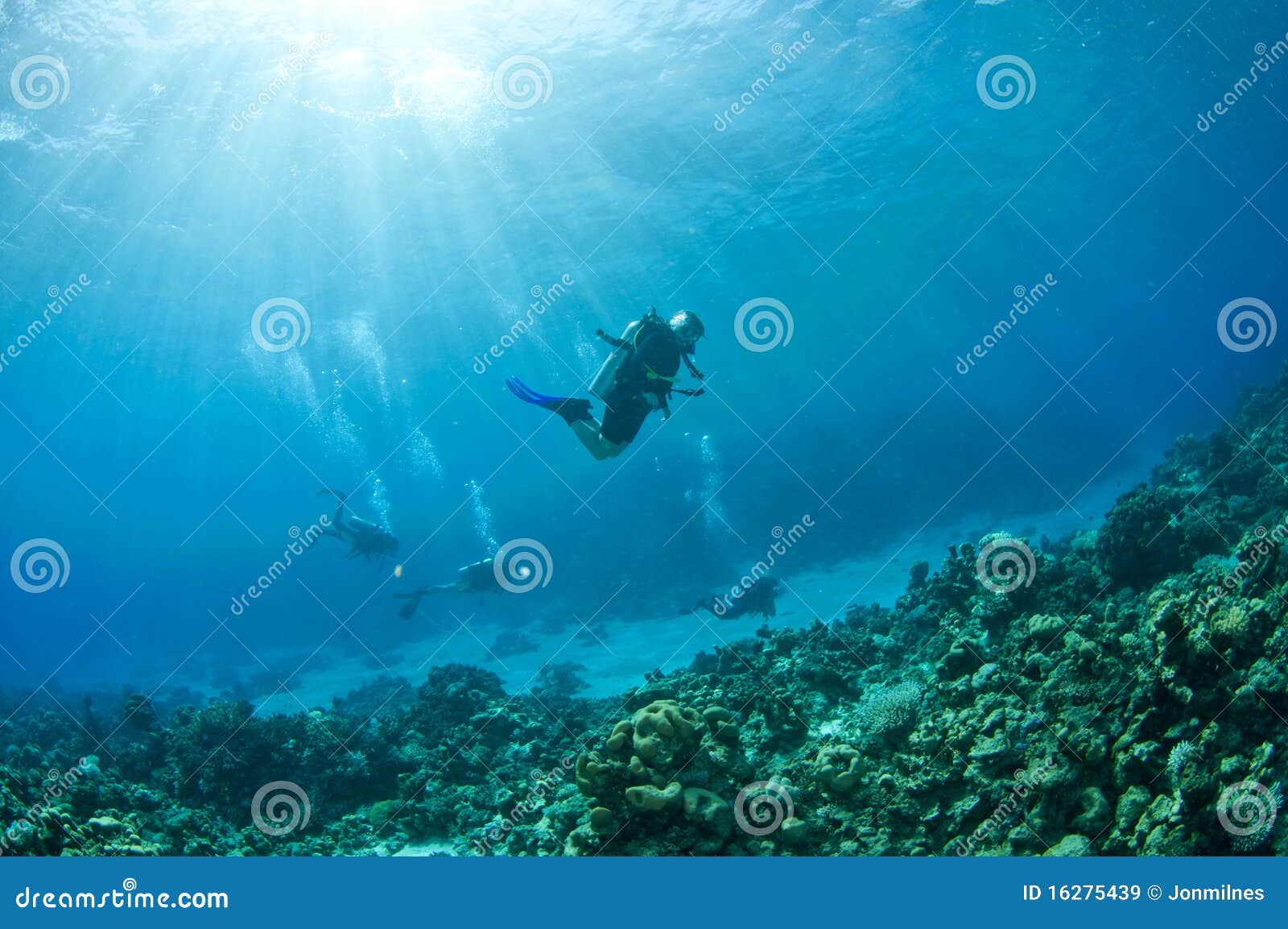 Operatore Subacqueo Di Scuba Immagine Stock - Immagine di immagine ...