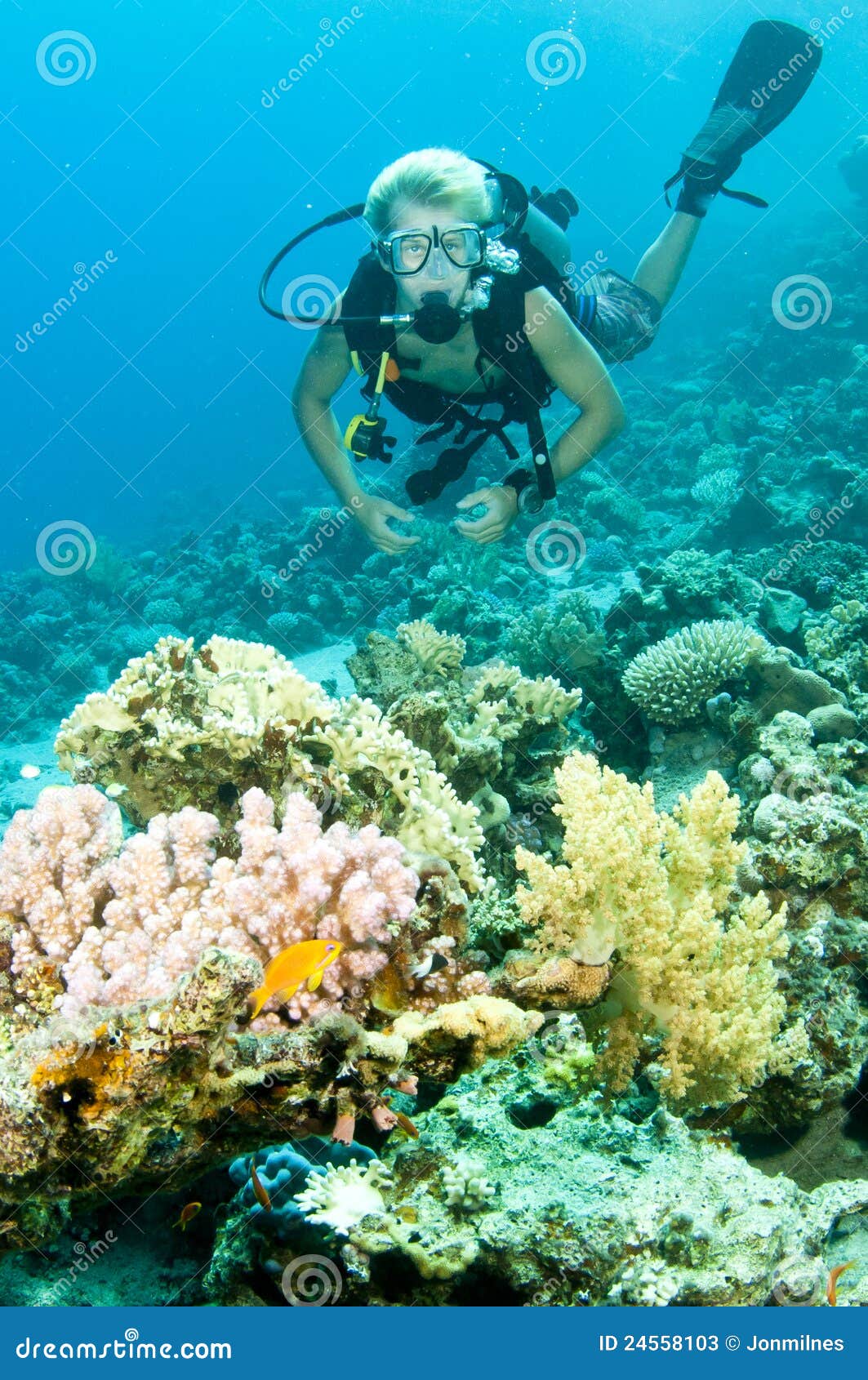 Operatore Subacqueo Di Scuba Immagine Stock - Immagine di tuffatore ...