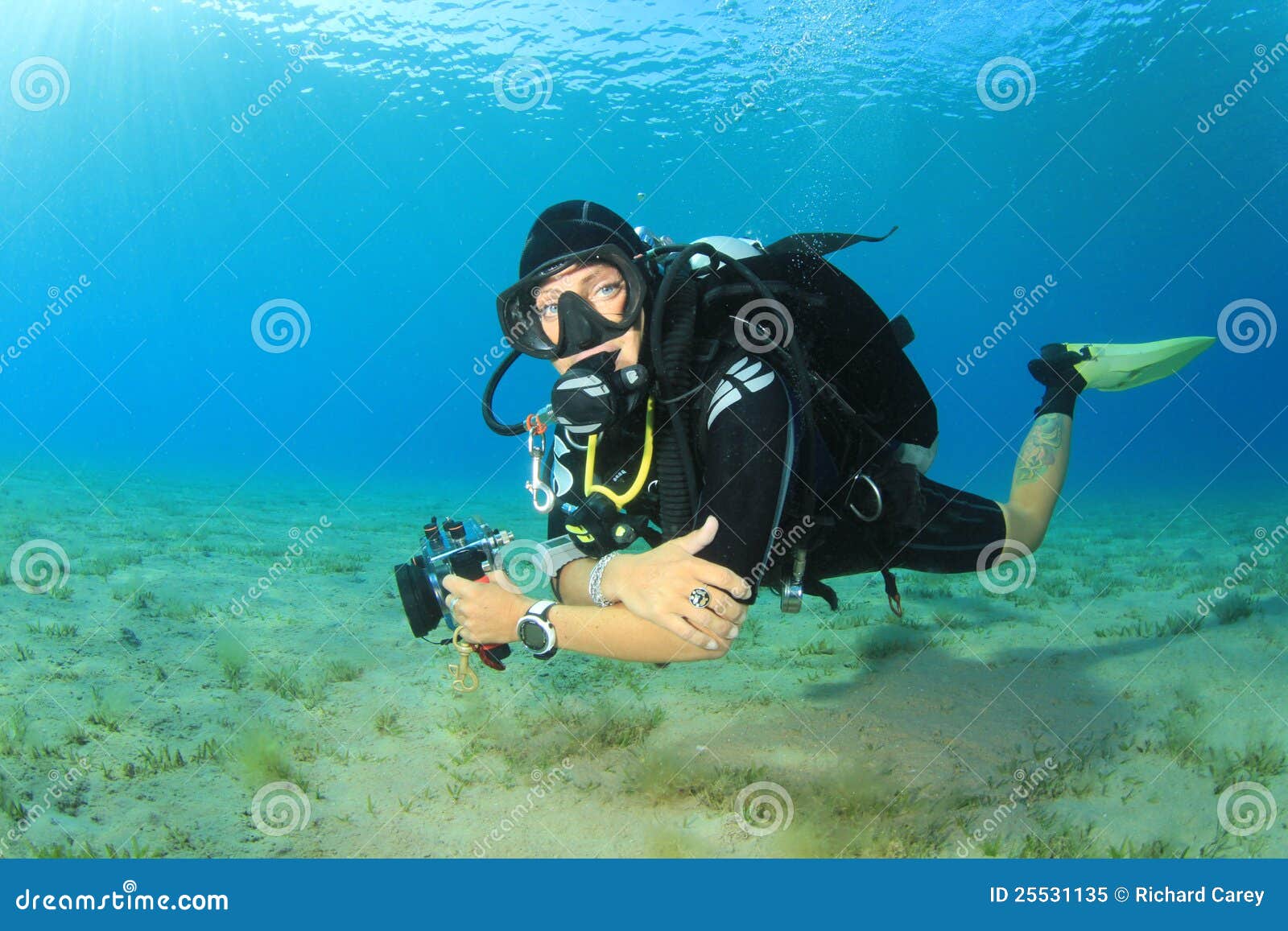Operatore Subacqueo Di Scuba Immagine Stock - Immagine di tropicale ...