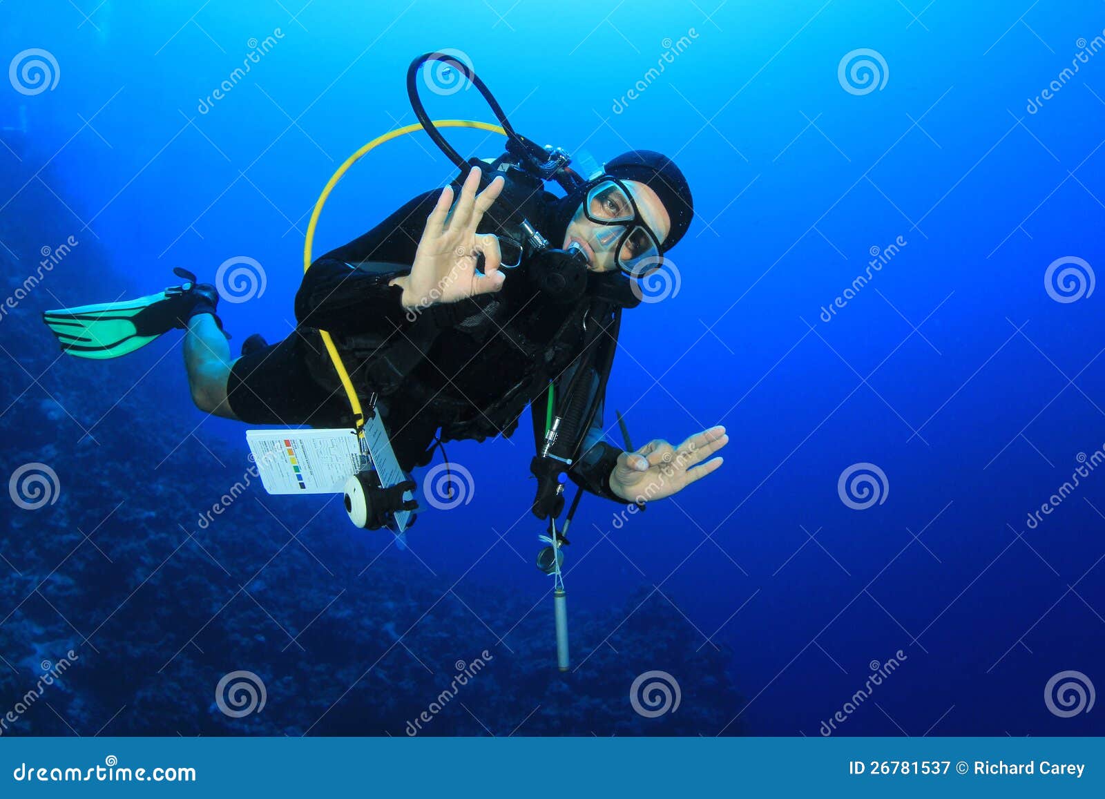 Operatore Subacqueo Di Scuba Immagine Stock - Immagine di segno, nave ...