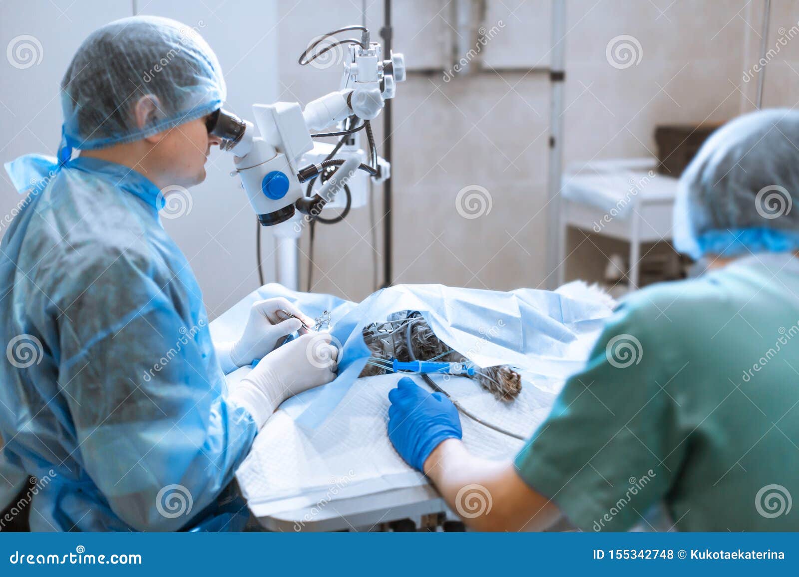 Ophthalmologist Surgeon Looking through Surgical Microscope Doing ...