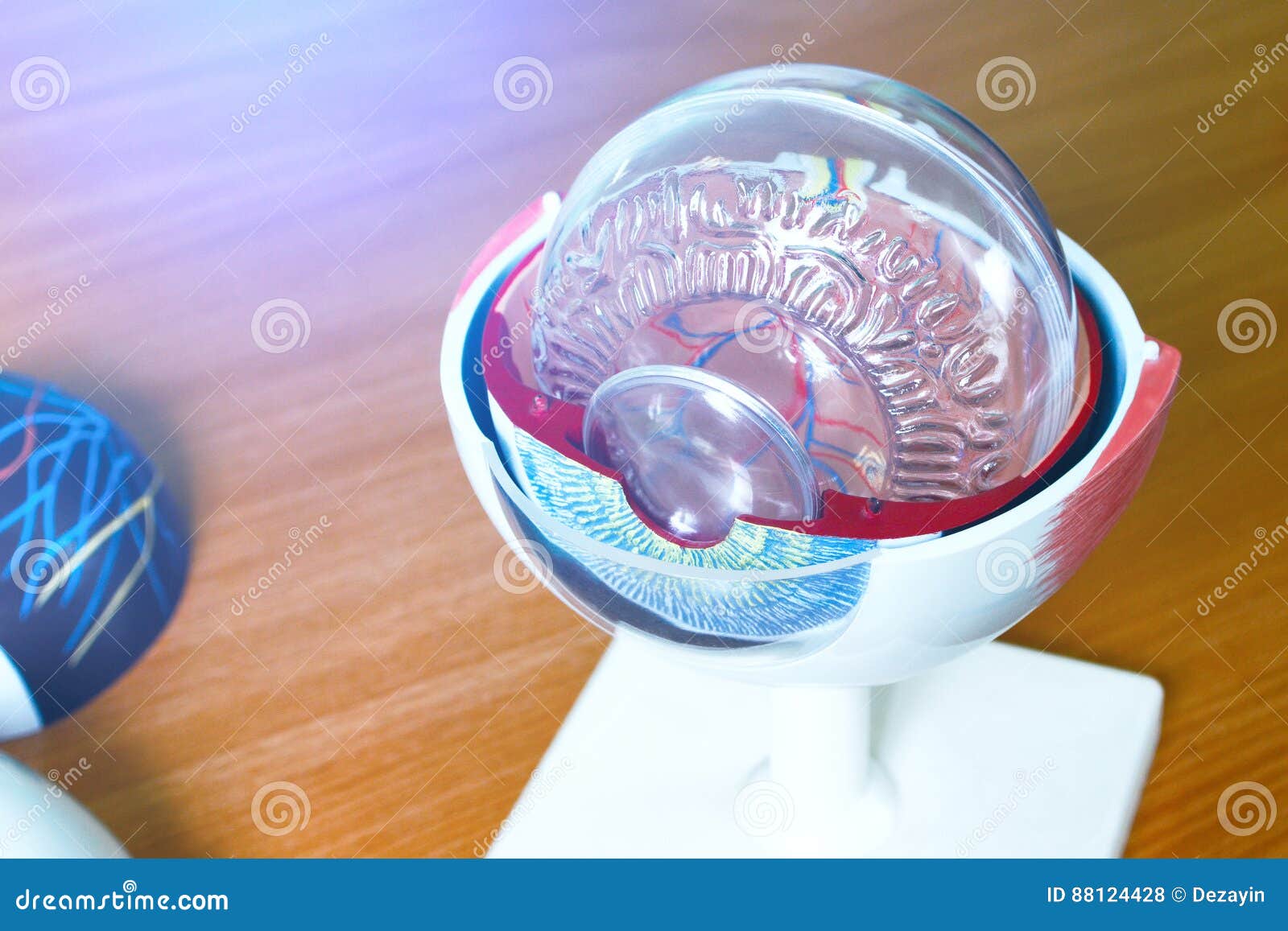 Ophthalmology Oculus Sample Closeup Stock Photo - Image of ...