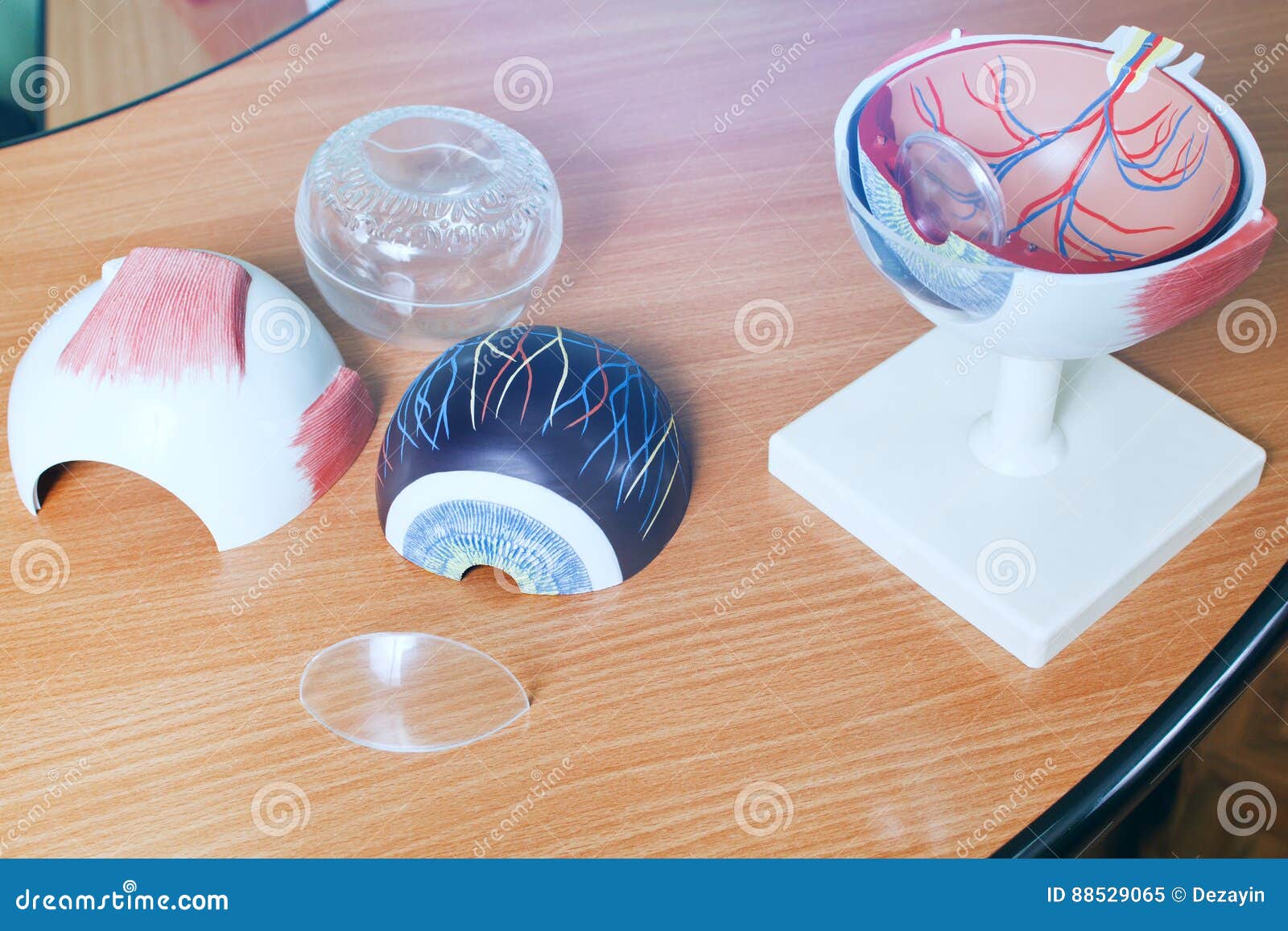 Ophthalmology Oculus Sample Closeup Stock Image - Image of eget ...