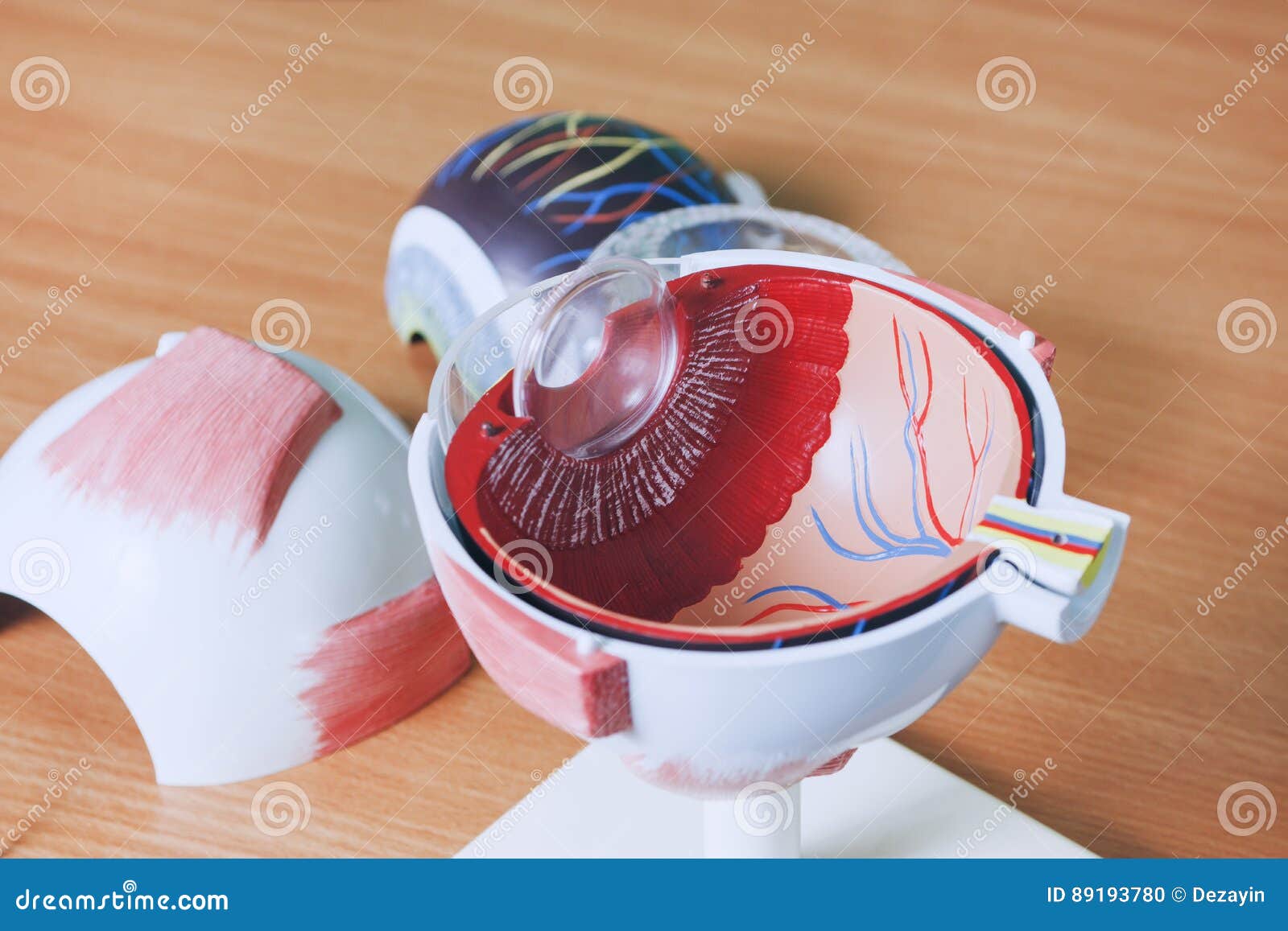 Ophthalmology Oculus Sample Closeup Stock Photo - Image of glaucoma ...