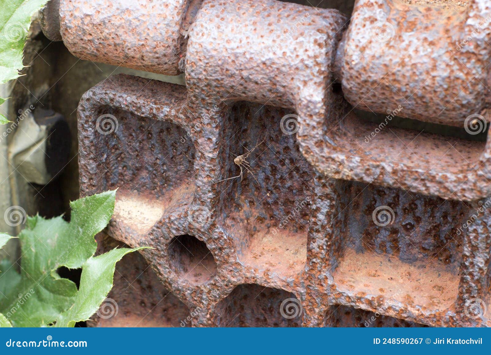 Spider Web On Rusty Metal Fence Background. Royalty-Free Stock Photo ...