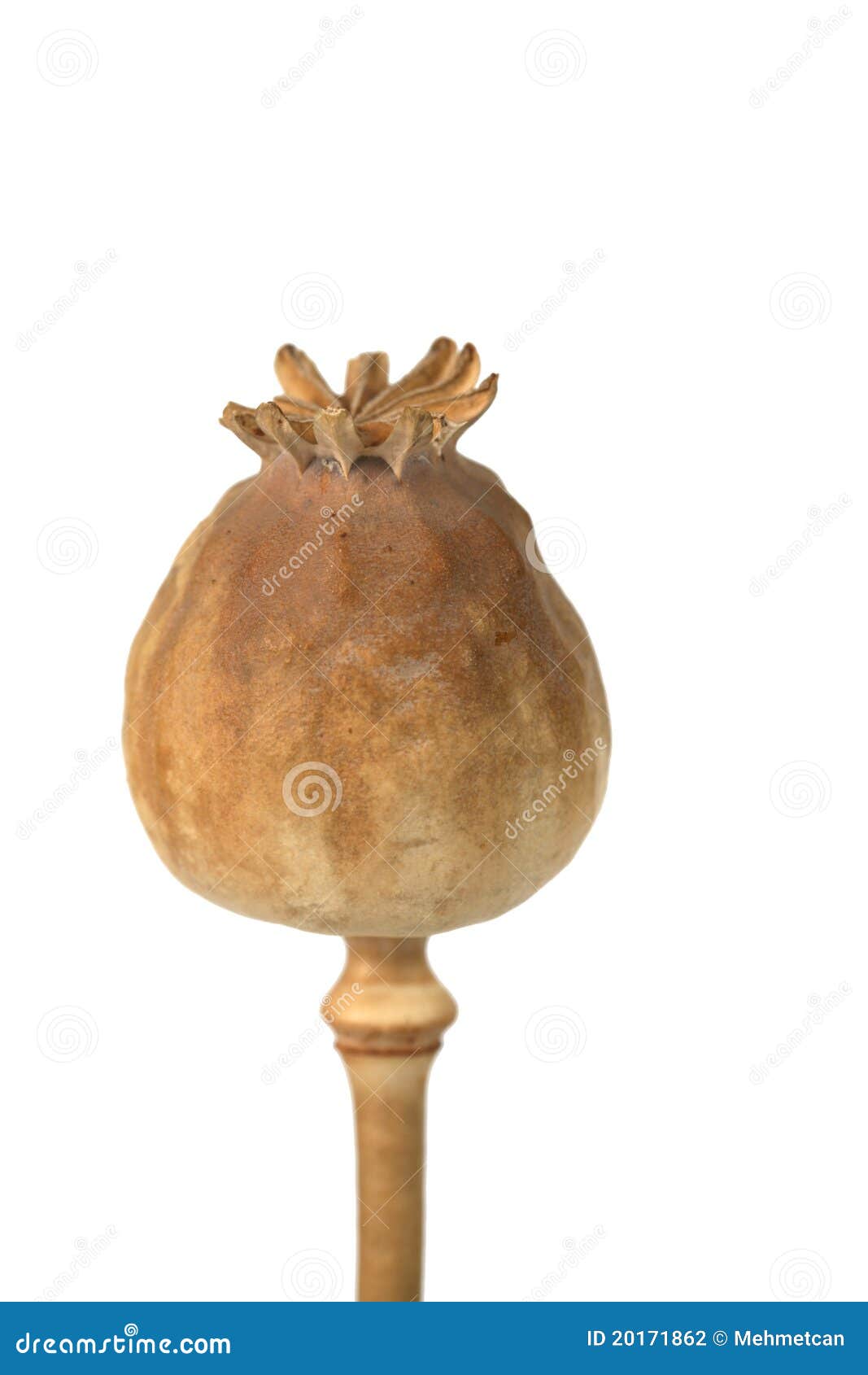 Opium Background Picture. Image: 20171862