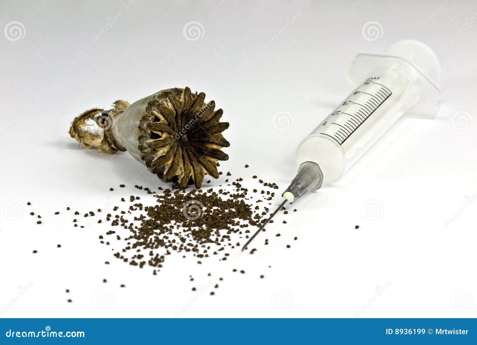 Opium poppy seed stock image. Image of dependency, accessories - 8936199