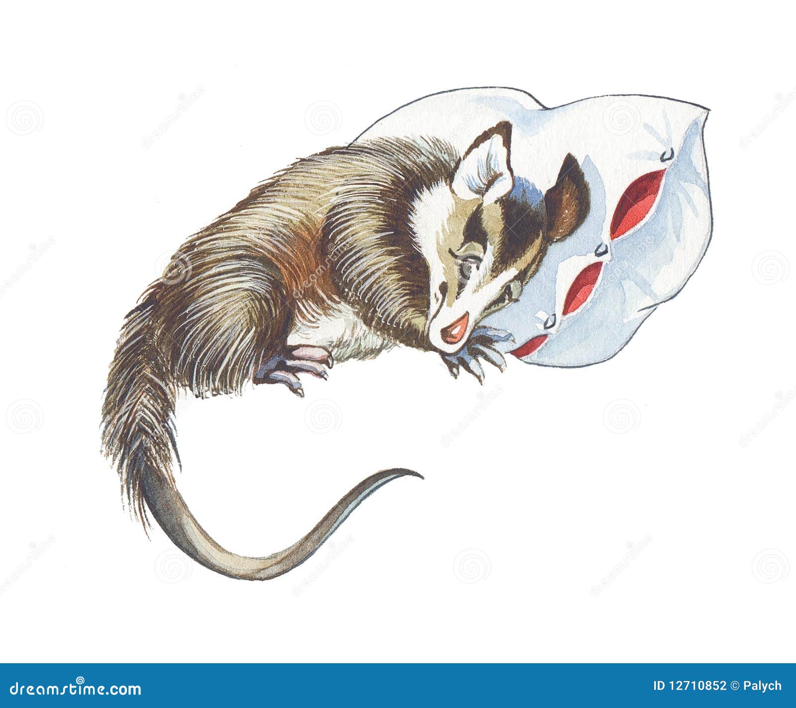 Opossum stock illustration. Illustration of design, dream - 12710852