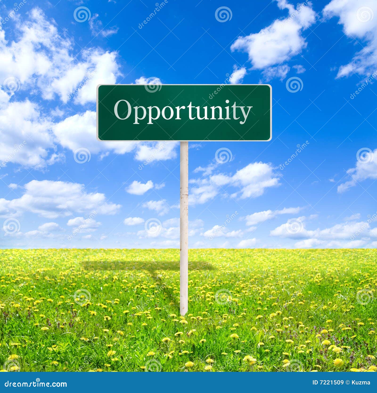 Opportunity stock image. Image of plant, simple, sappy - 7221509