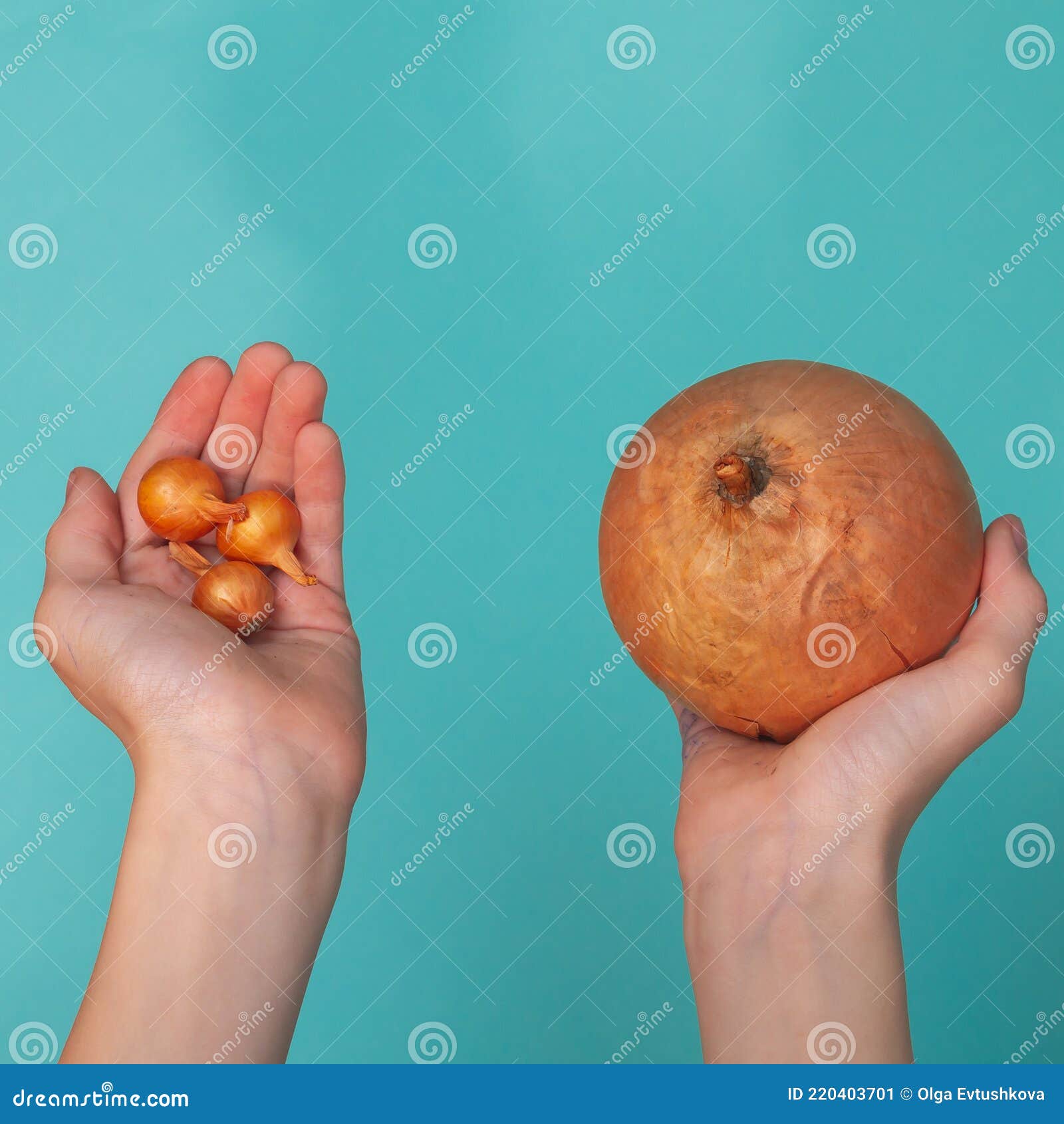 The Opposite of Big and Small. Huge Bulbs and Tiny Next To Each Other ...