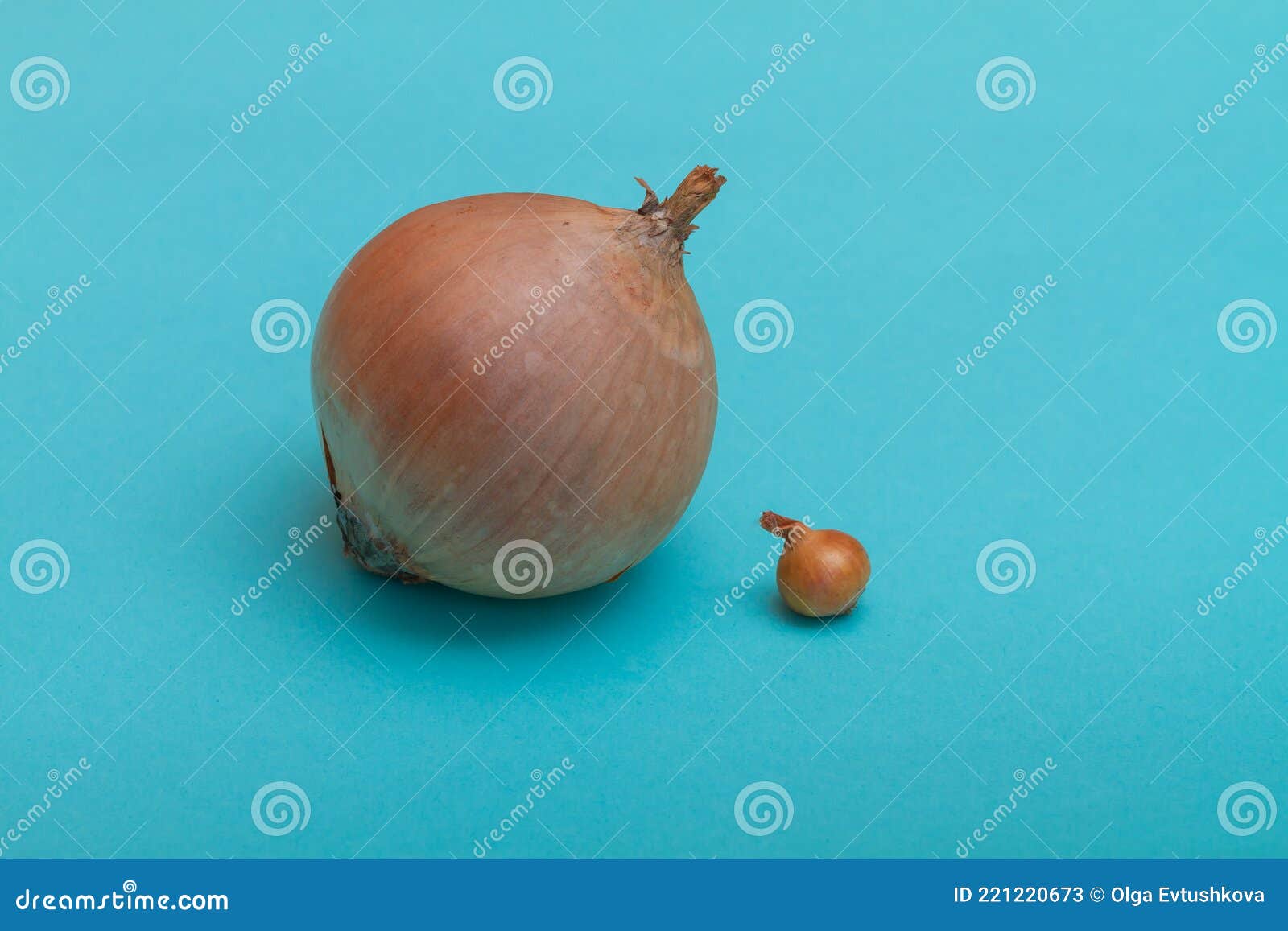 The Opposite of Big and Small. Huge Bulbs and Tiny Next To Each Other ...