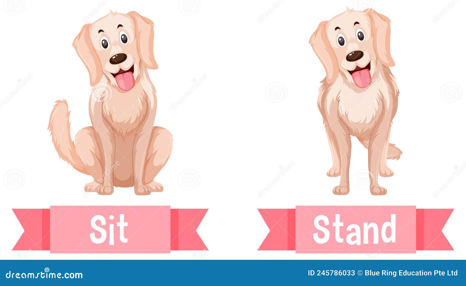 Opposite Sit And Stand, Words Antonym For Children With Cartoon ...