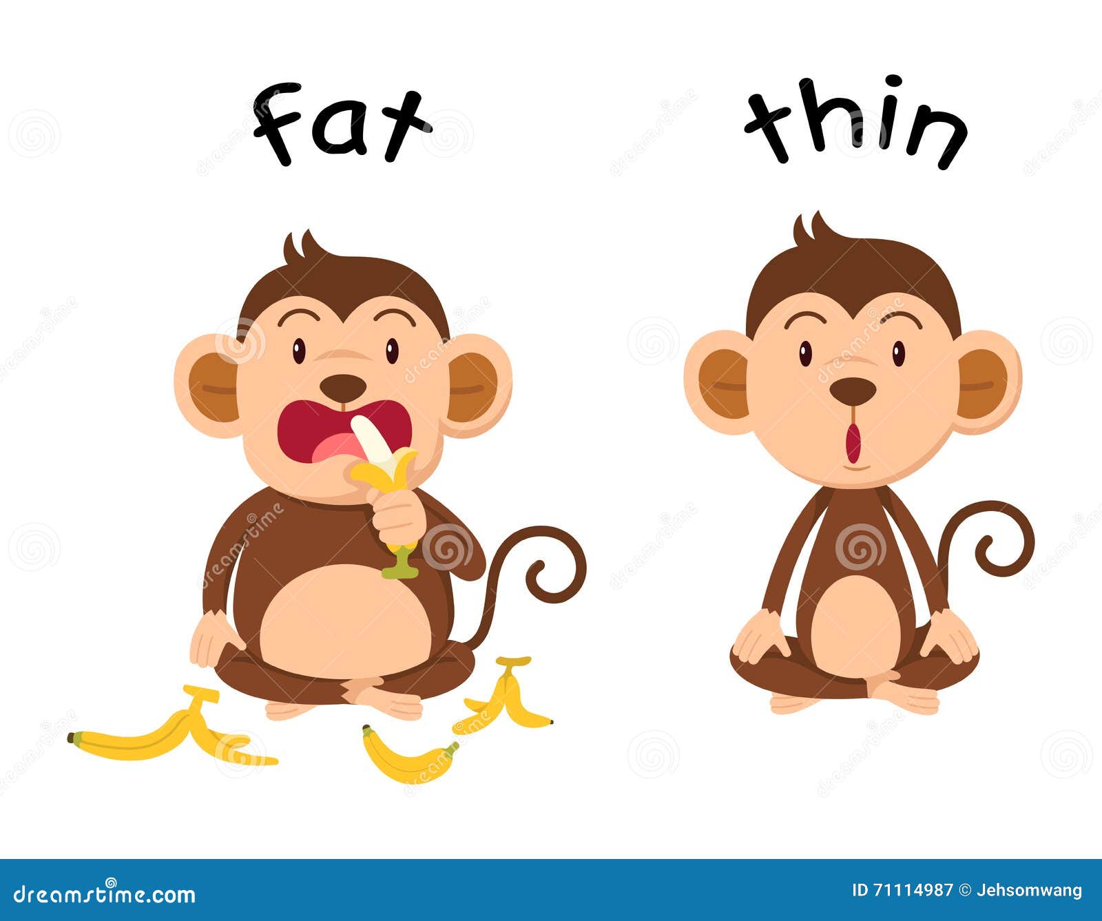 Opposite Words Fat And Thin Cartoon Vector 71114987