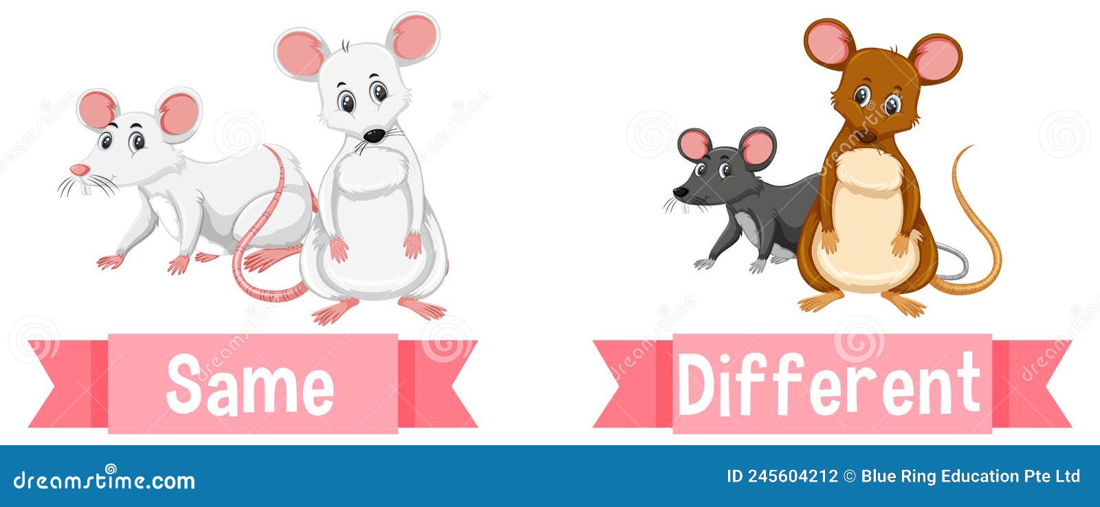 Opposite Words for Same and Different Stock Vector - Illustration of ...