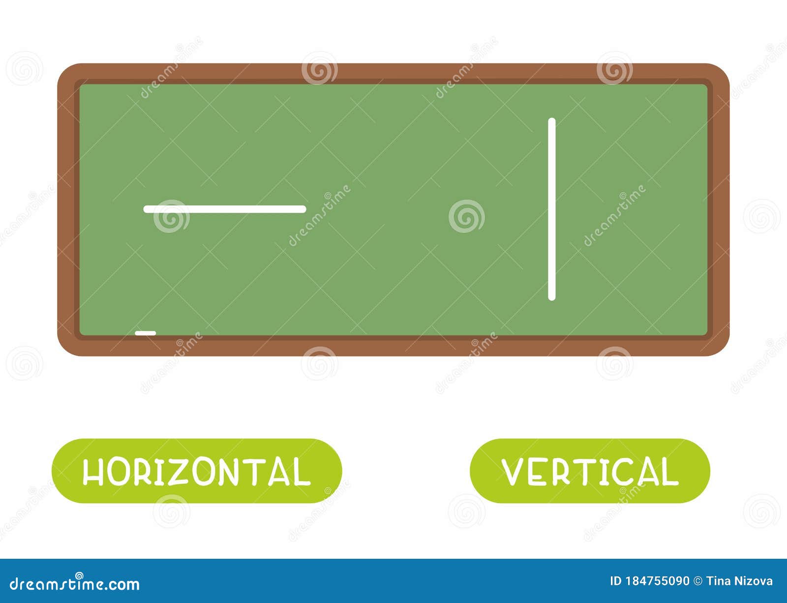 Opposites Concept, HORIZONTAL and VERTICAL. Word Card for Language ...