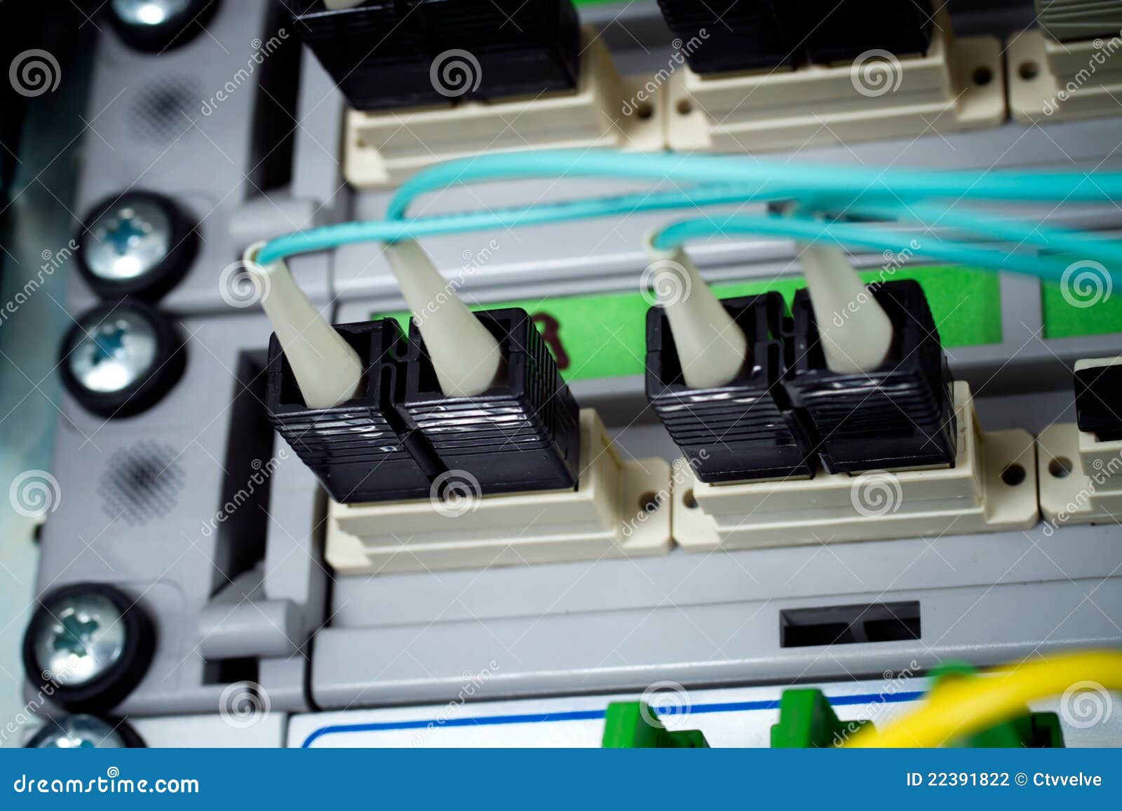 Optic Fiber Cables Connected To a Switch Stock Photo - Image of patch ...
