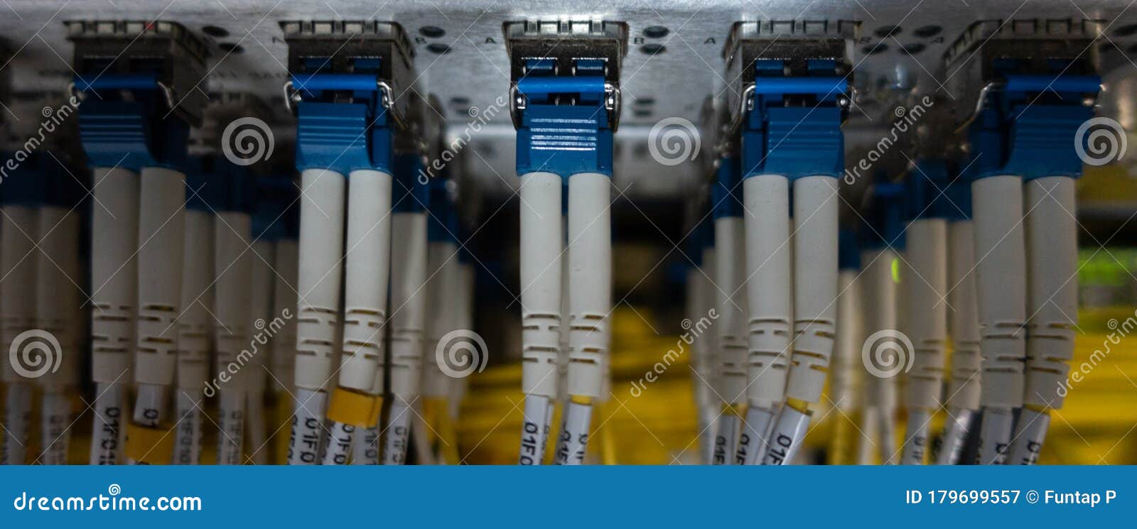 Optical Cables Connected To the Server Rack Stock Image - Image of ...