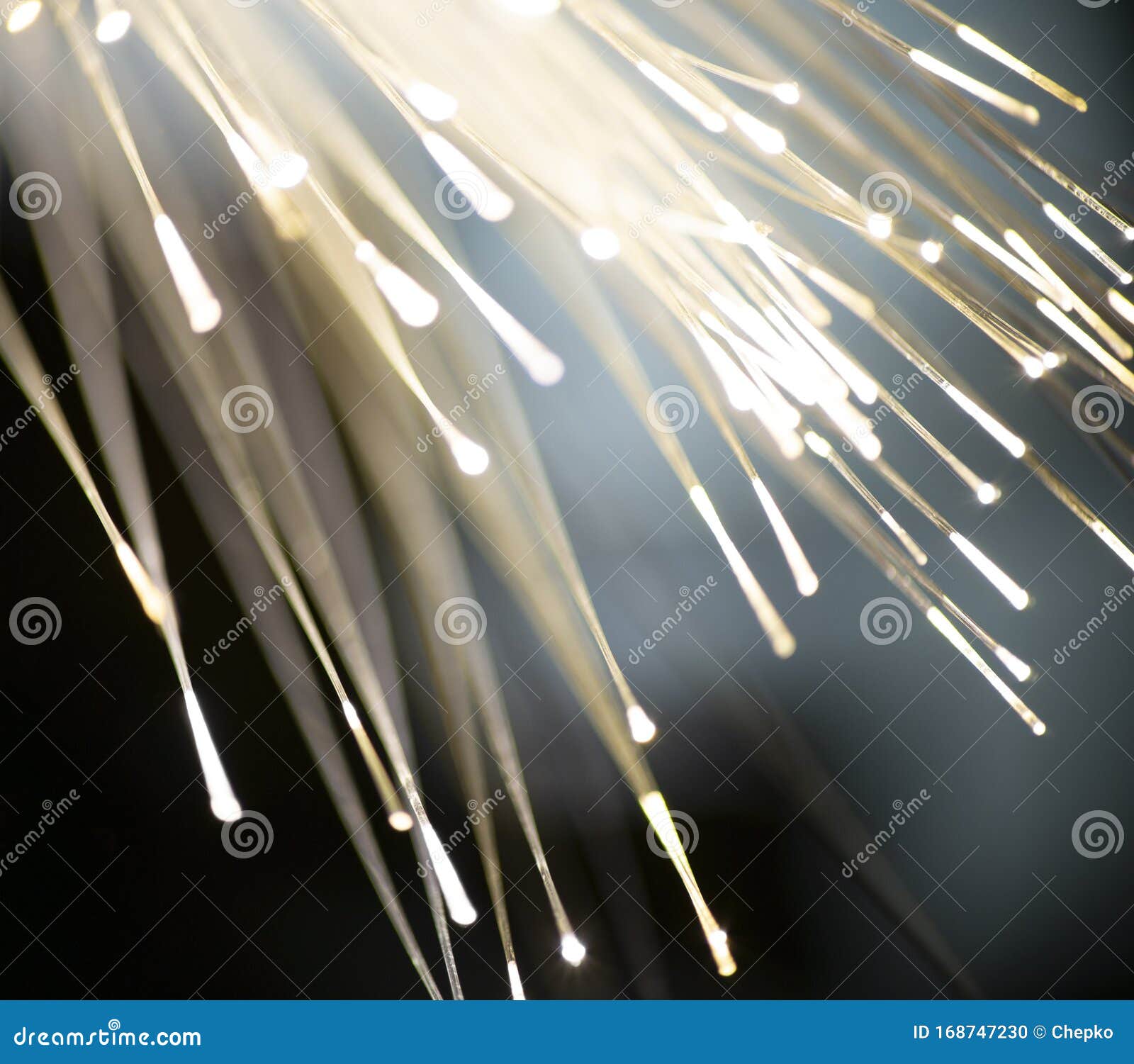 Optical Fiber Network Cable on Black Background Stock Photo - Image of ...