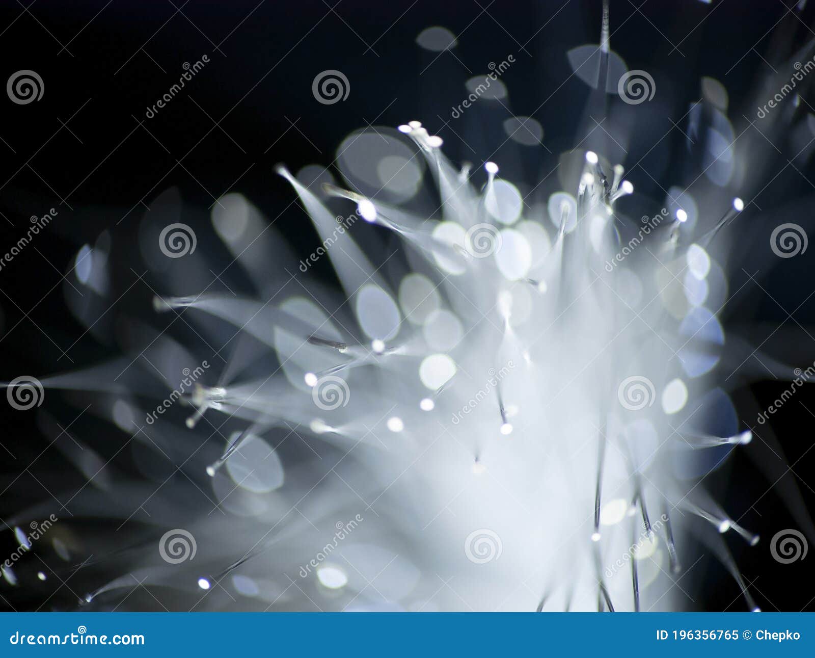 Optical Fiber Network Cable on Black Background Stock Image - Image of ...