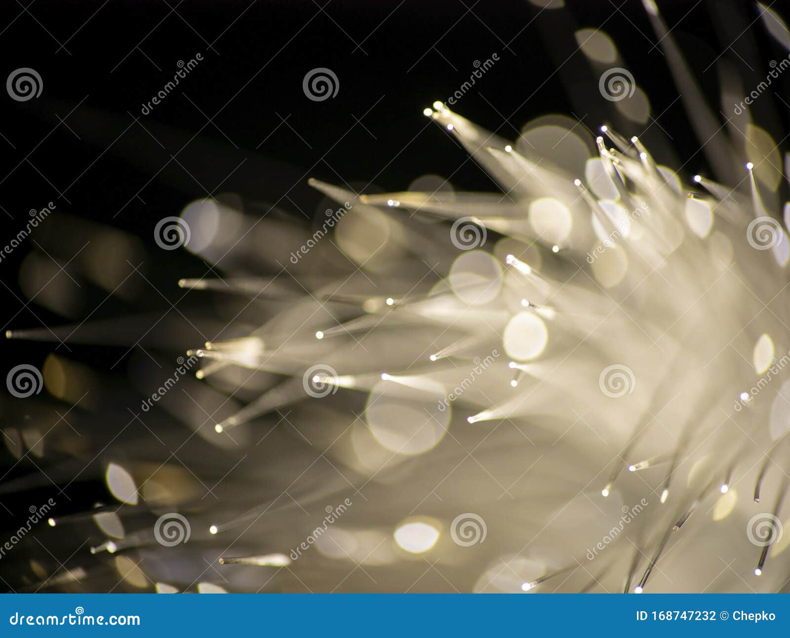 Optical Fiber Network Cable on Black Background Stock Photo - Image of ...