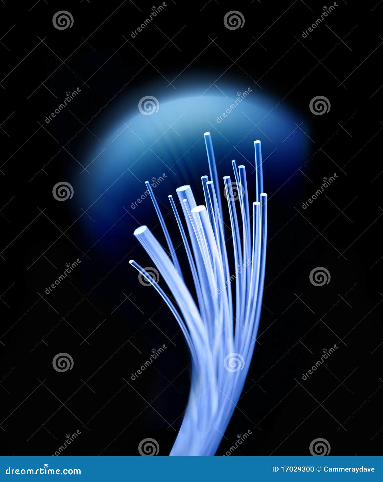 Optical Fiber Technology Stock Photo - Image: 17029300