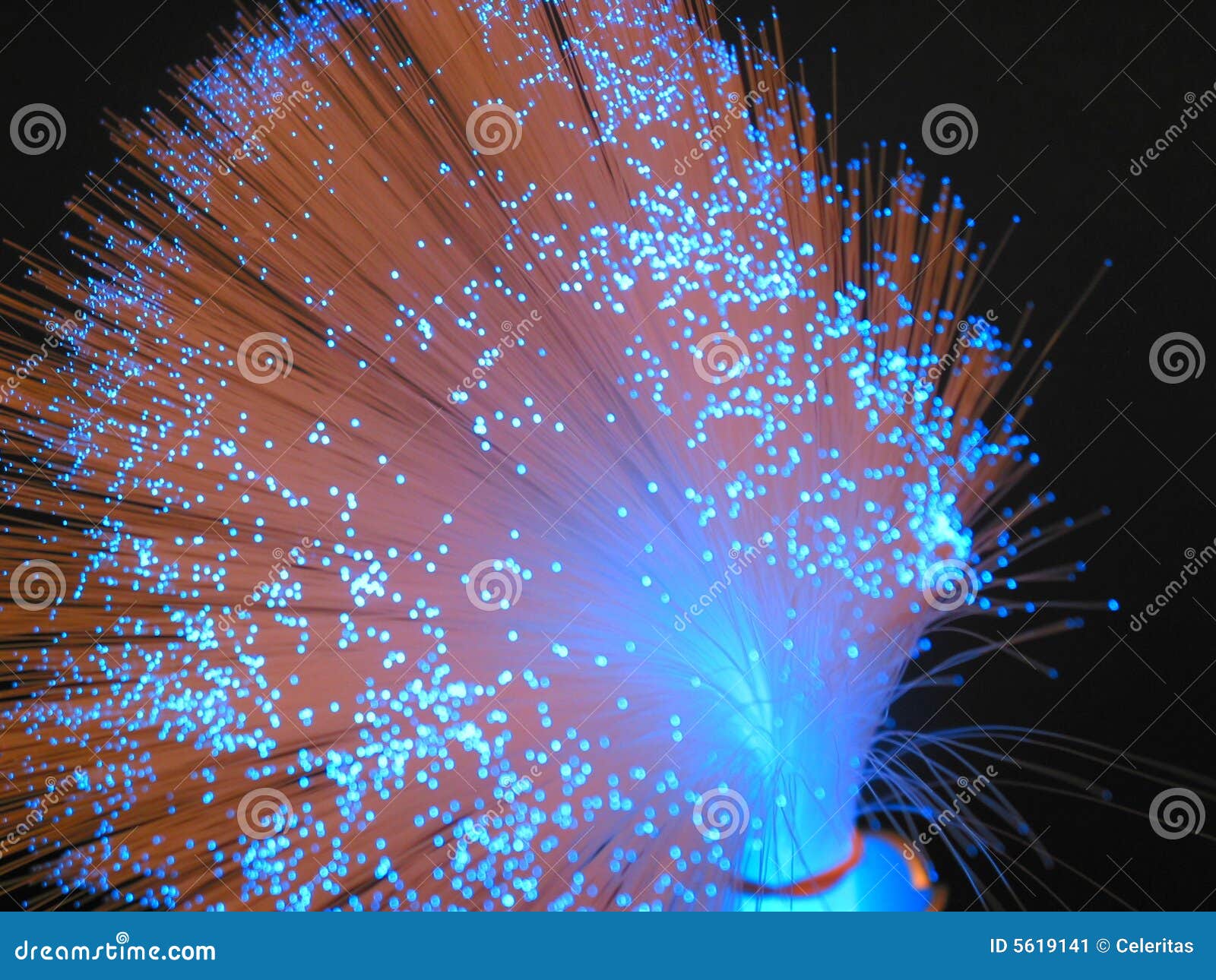Optical fibers stock image. Image of light, isolated, fibers - 5619141